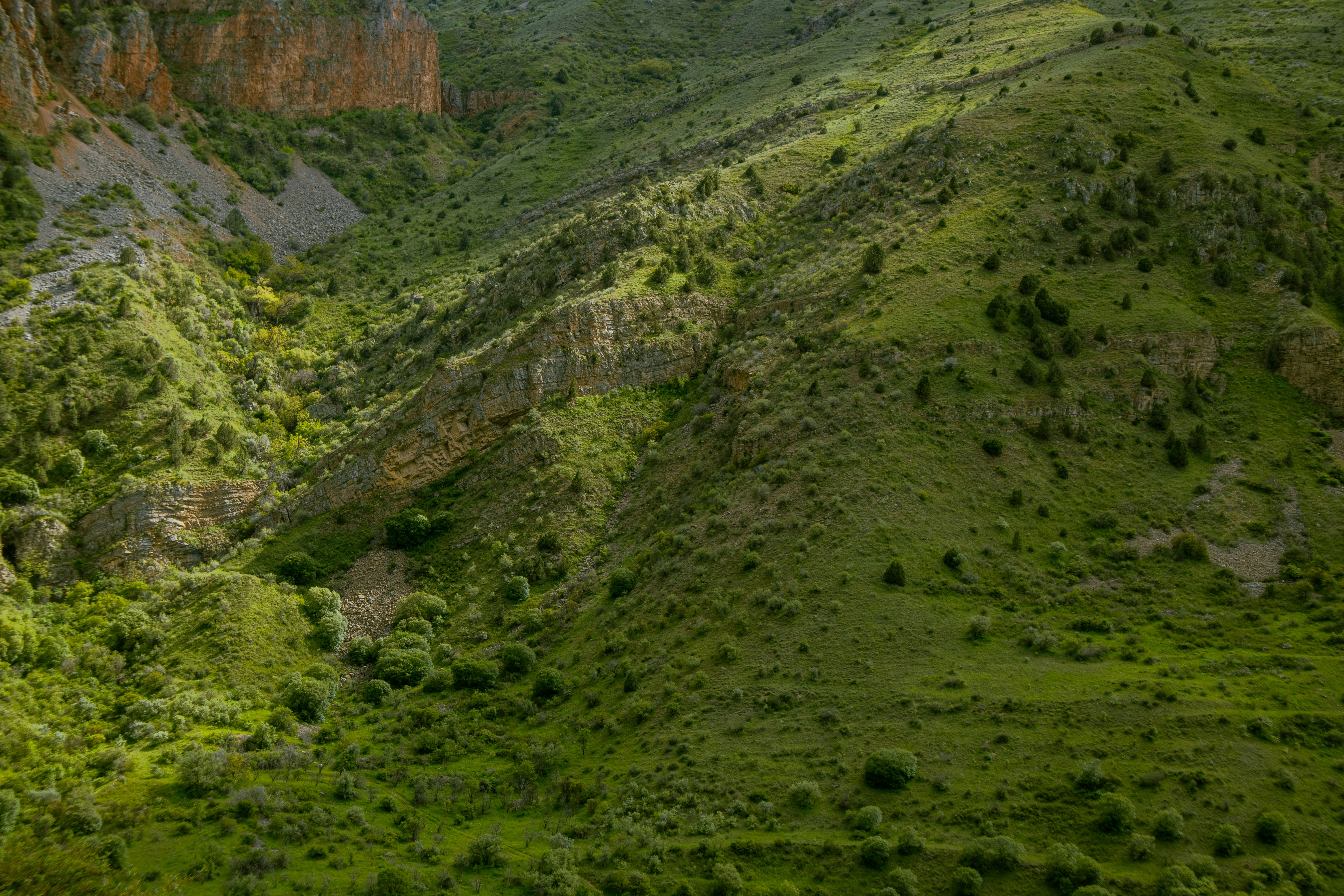 Verdant Escarpment: a cradle of light across rolling slopes