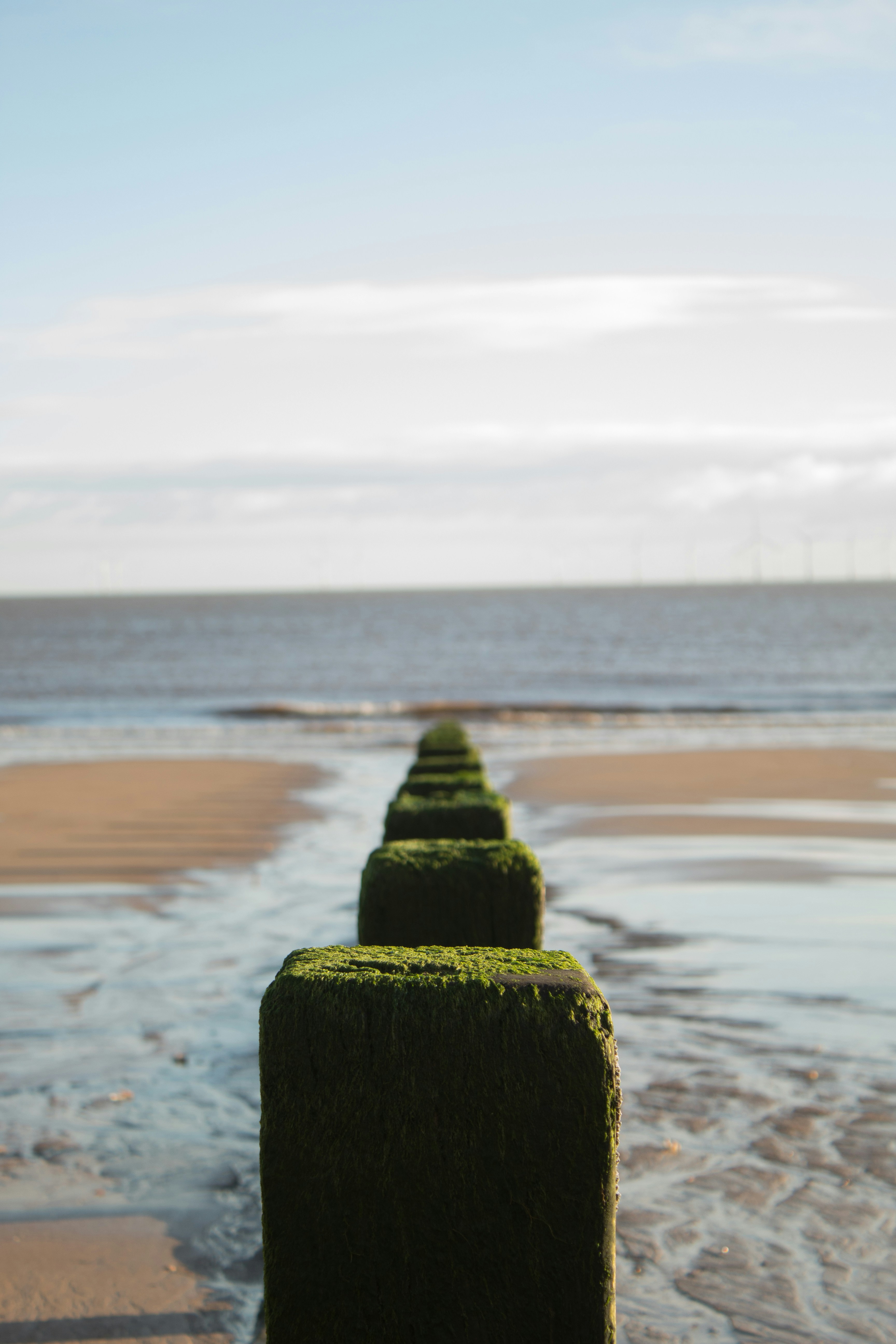 Mossy Grooves: A Sea-Breeze Row of Groynes Stretch Into the Horizon