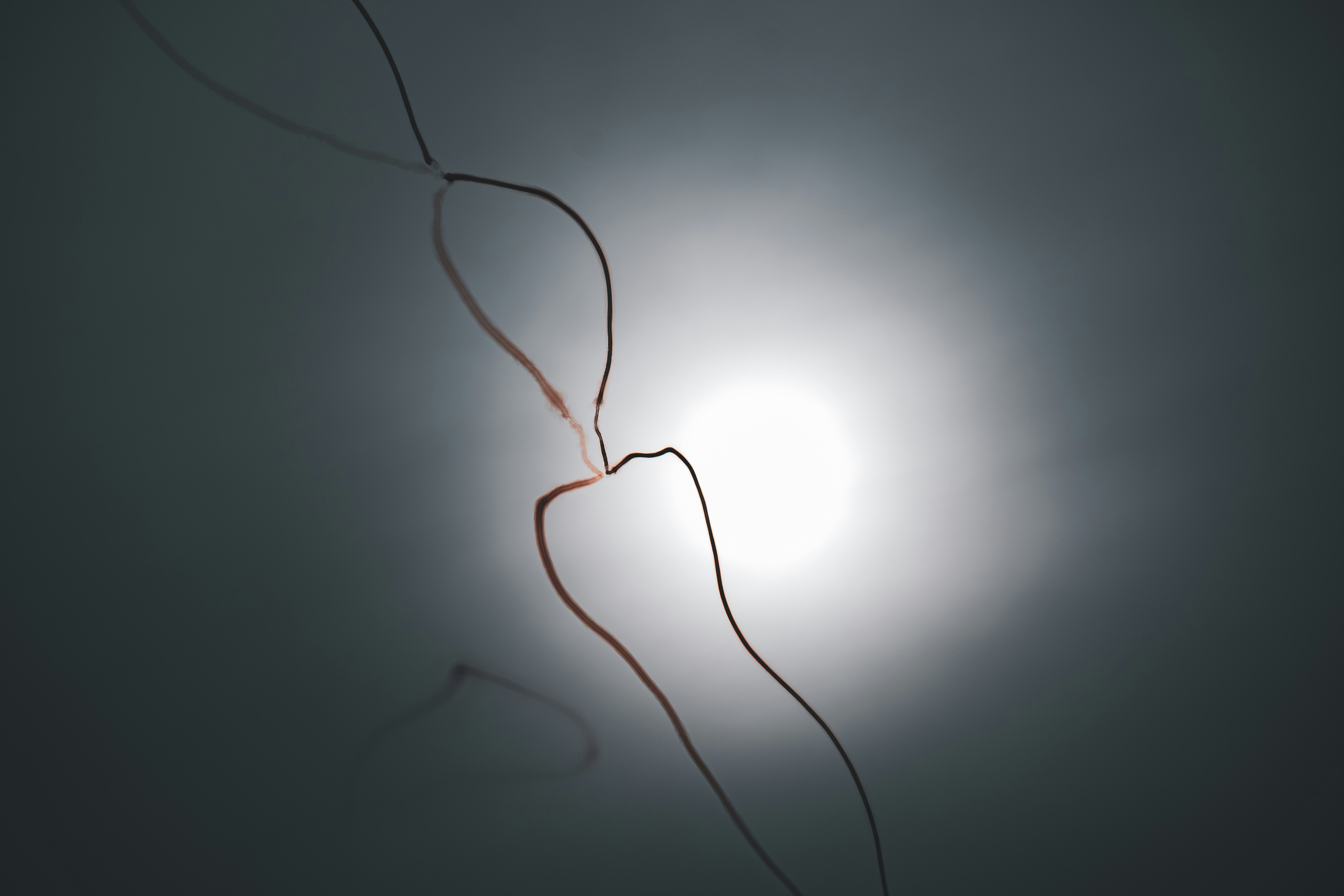 Tangled Threads of Light: A Faint Glow Through Silhouetted Lines