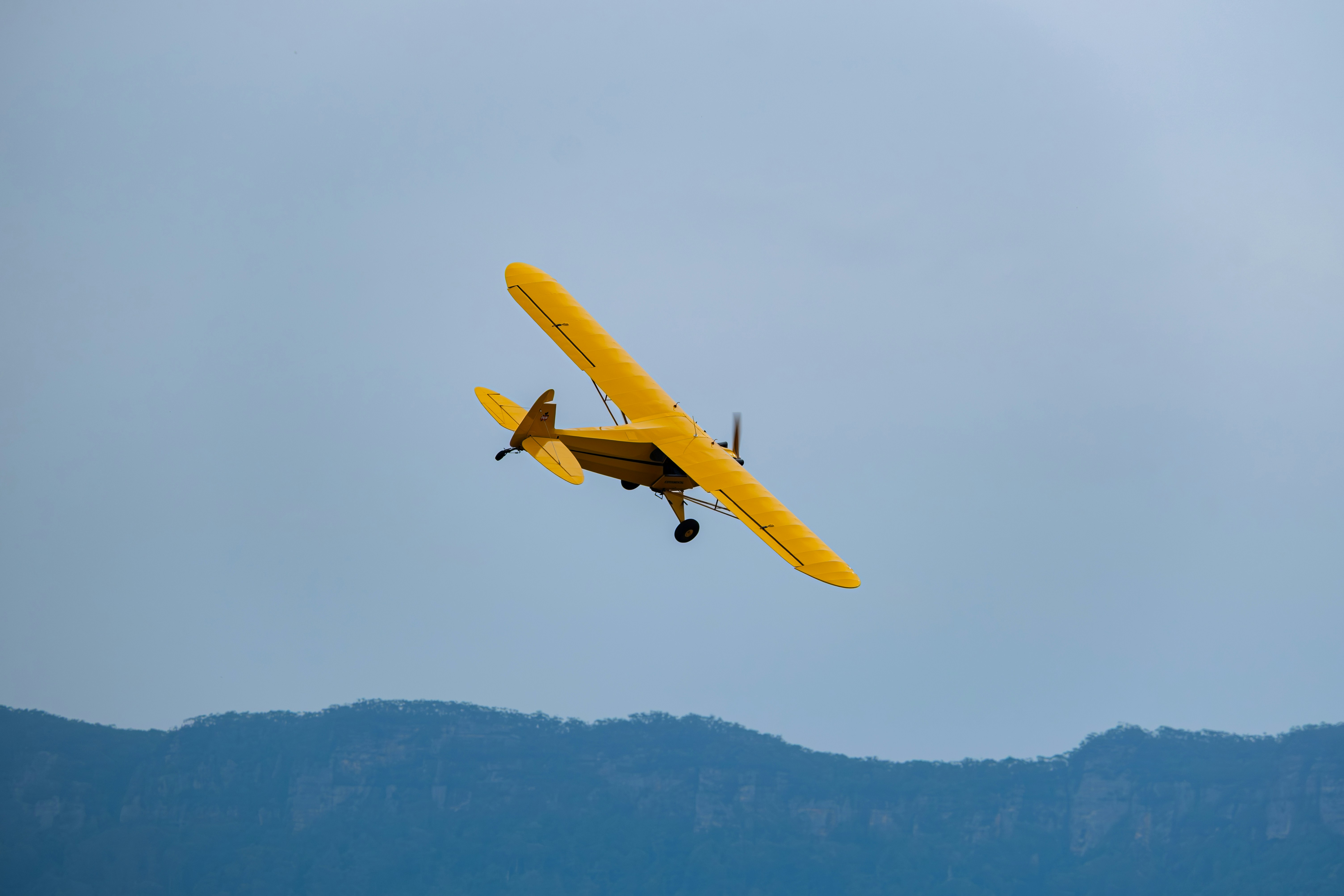 Bright Yellow Wings Against a Quiet Blue Sky