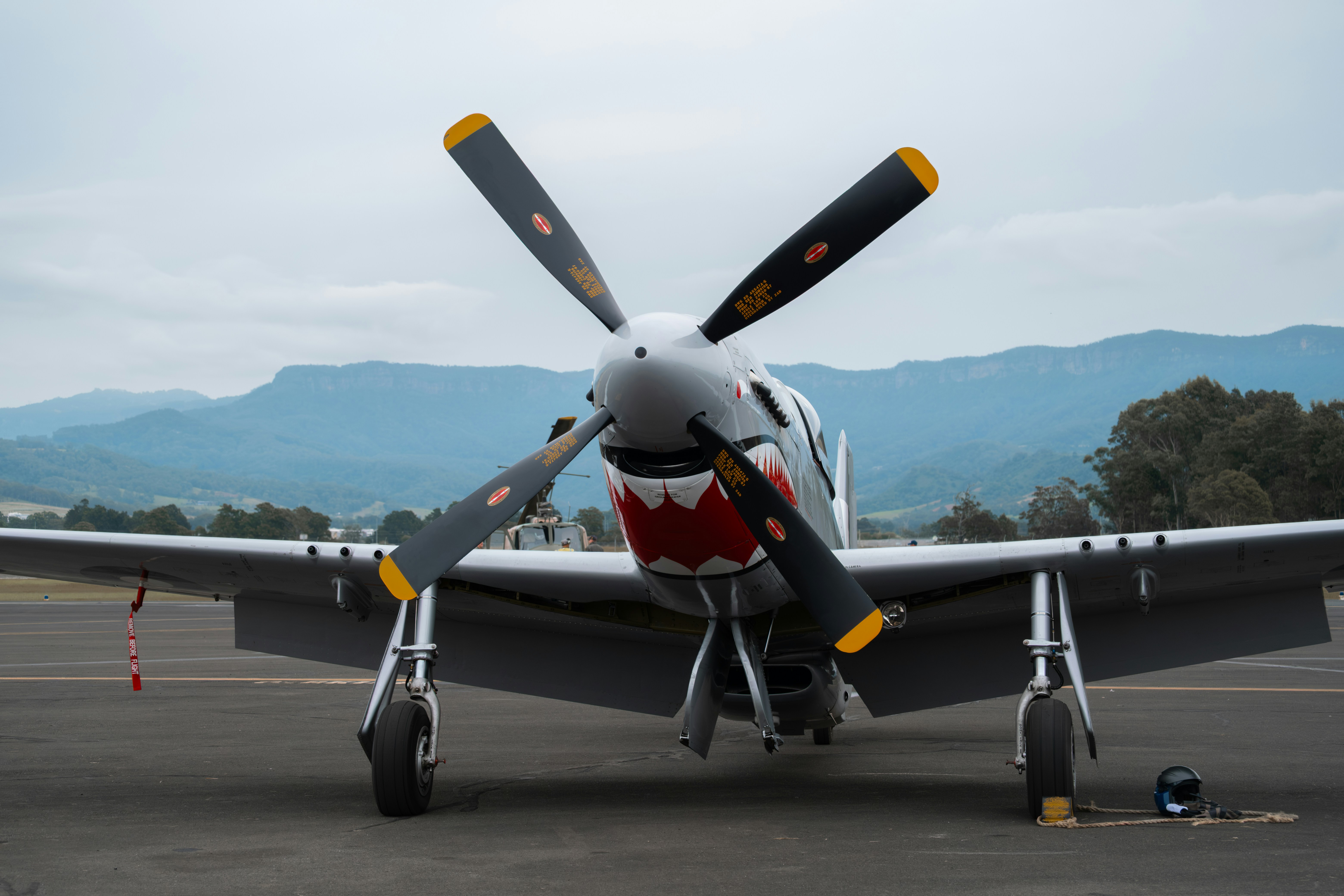 Propeller Predator: A Warbird Resting on the Tarmac