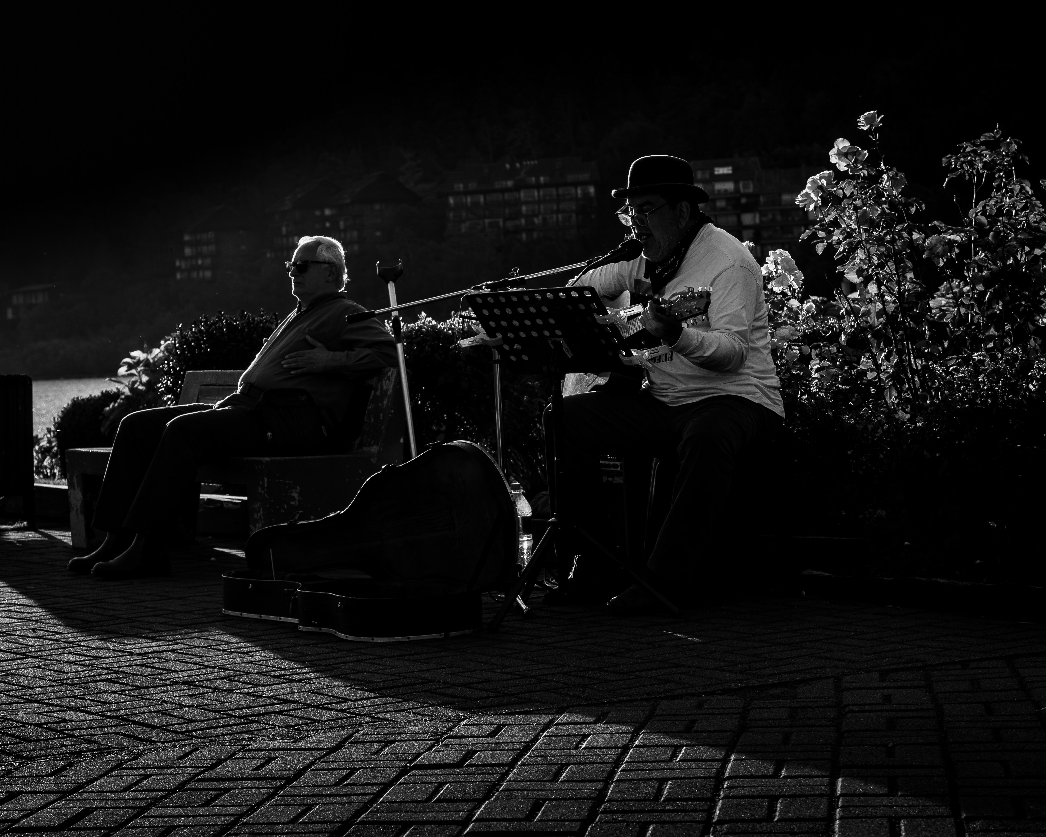 Midnight Serenade on the Riverbank