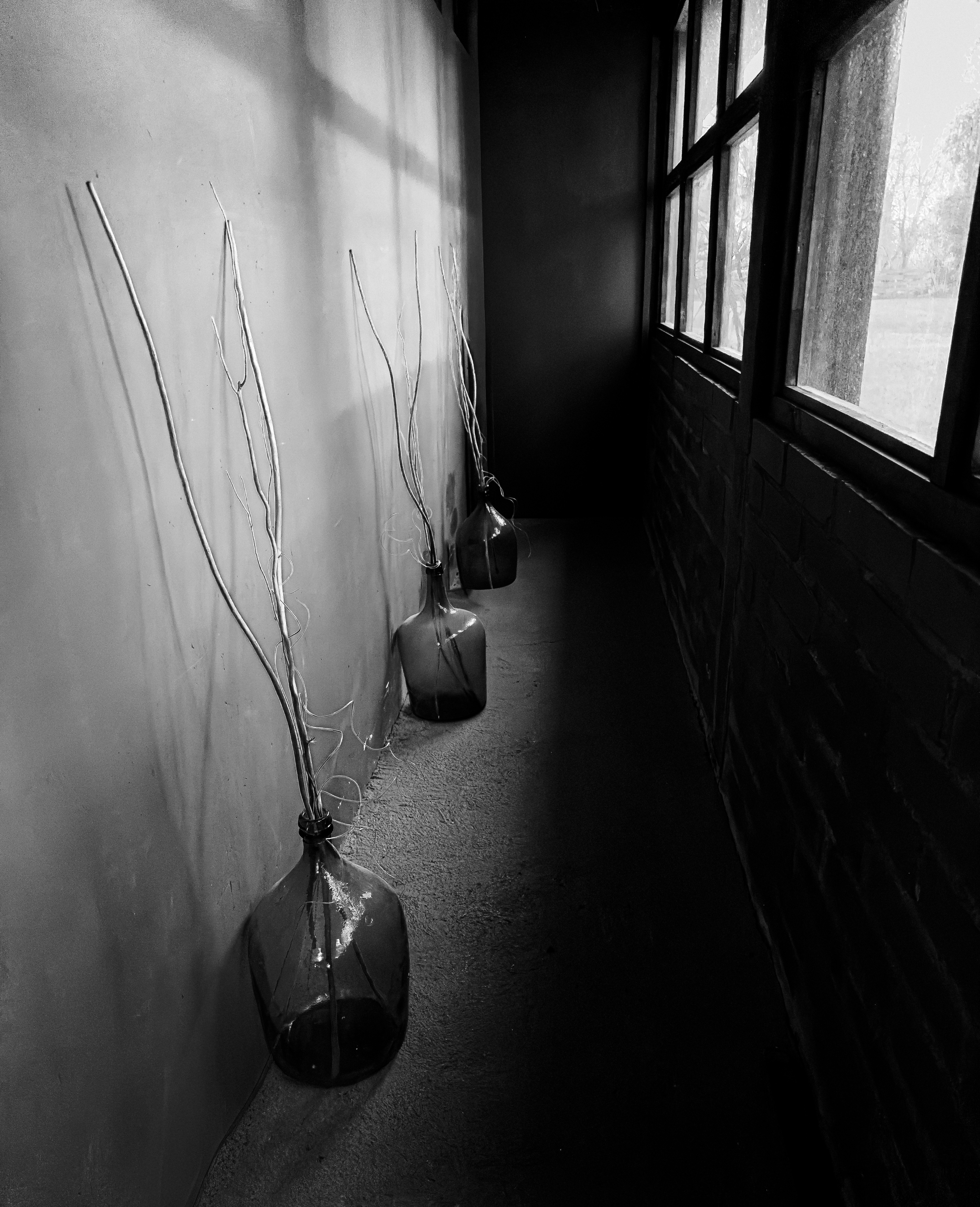 A Quiet Row of Glass Vessels in Shadowed Corridor