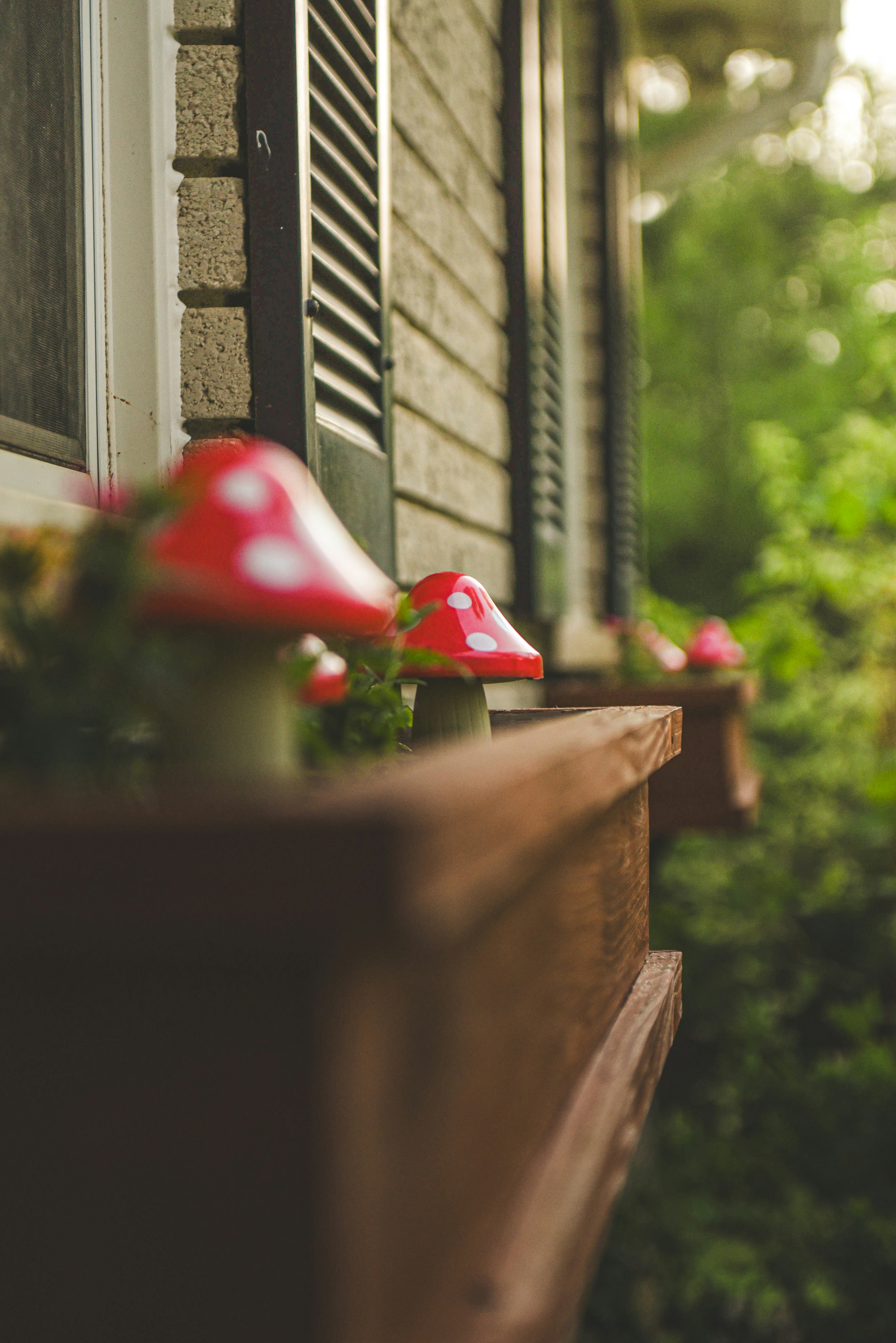 Red Cap Chronicles: Mushrooms on a Nooked Porch