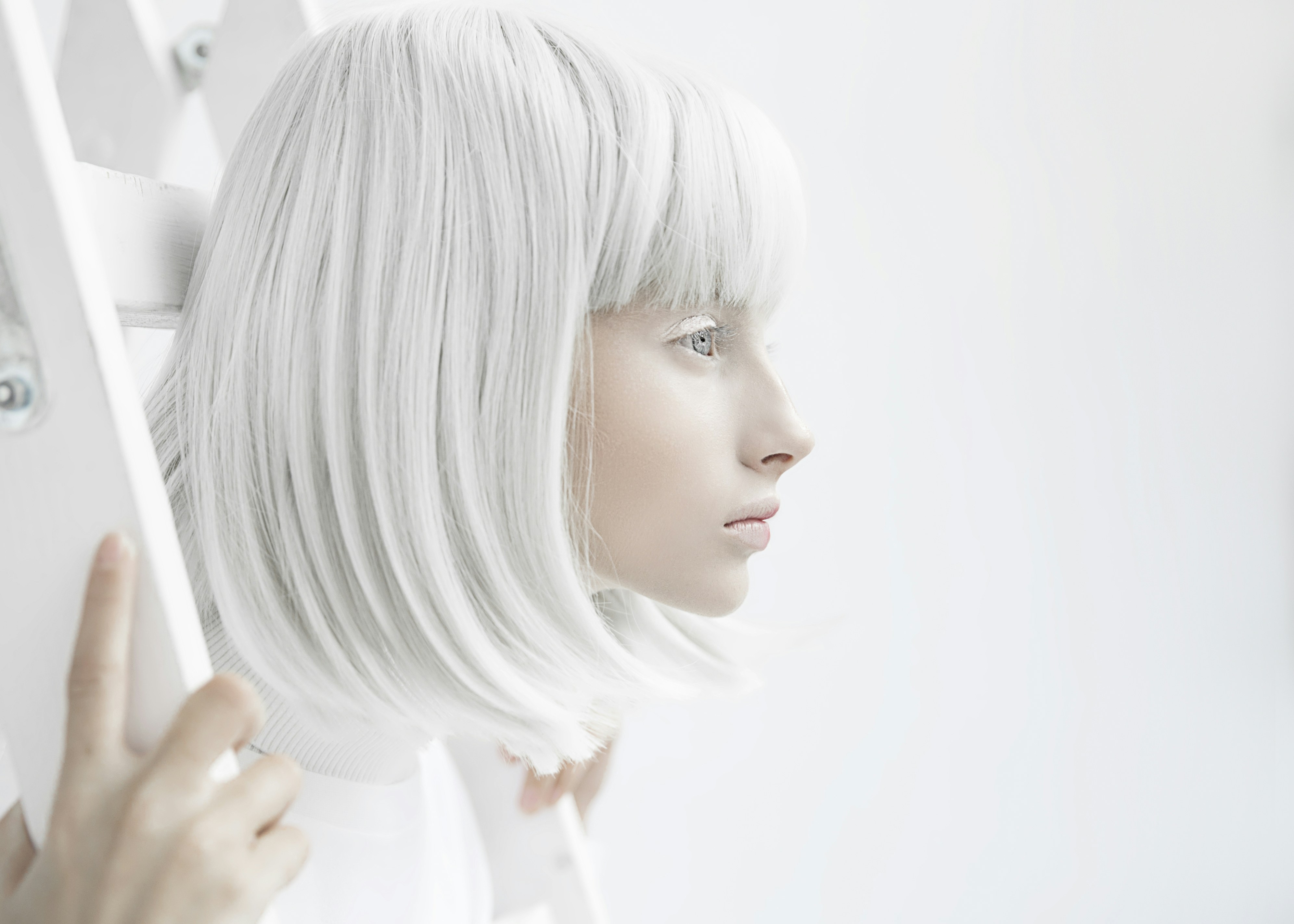 Snowlit Silence: A Profile in Pale Light