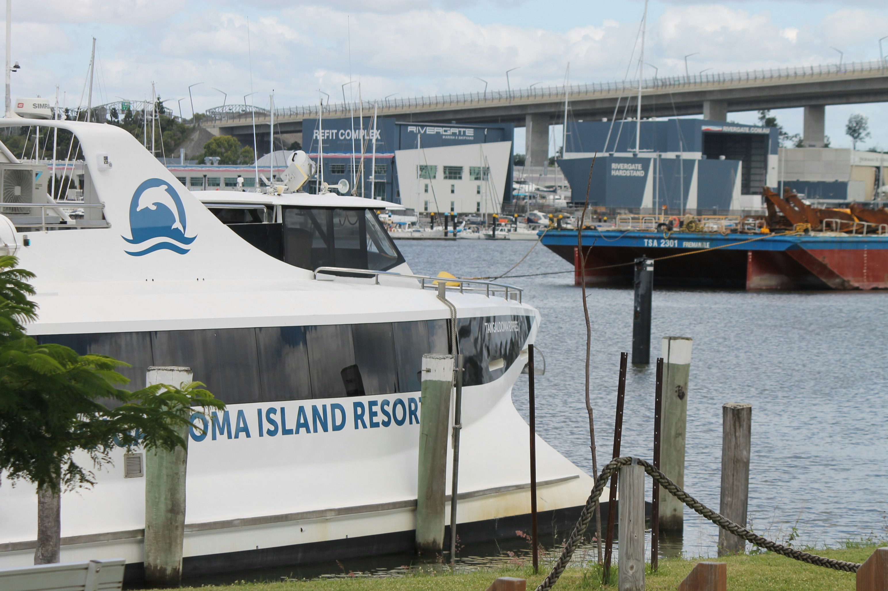 Docked White Catamaran at a Sunny Marina