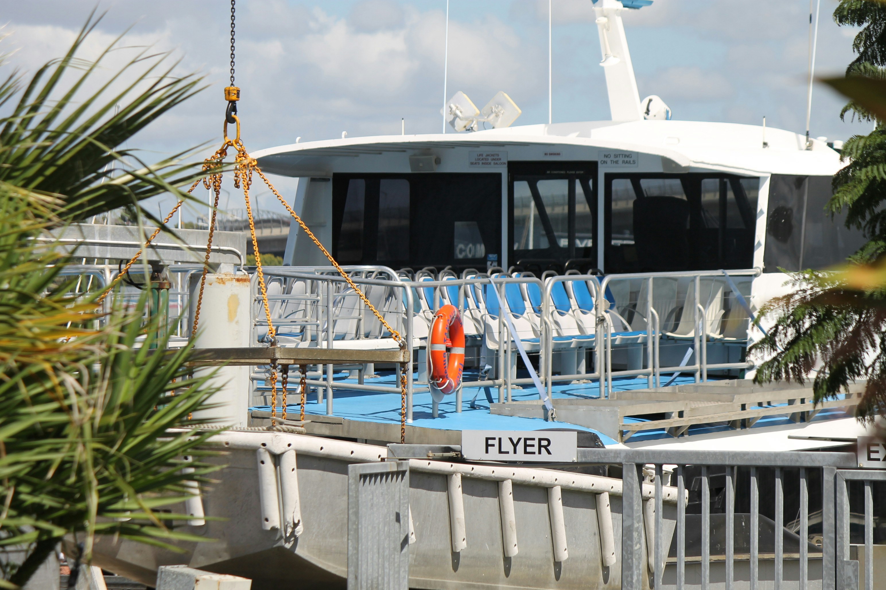 Dockside Patrol: The Flyer's Quiet Gate at the Marina