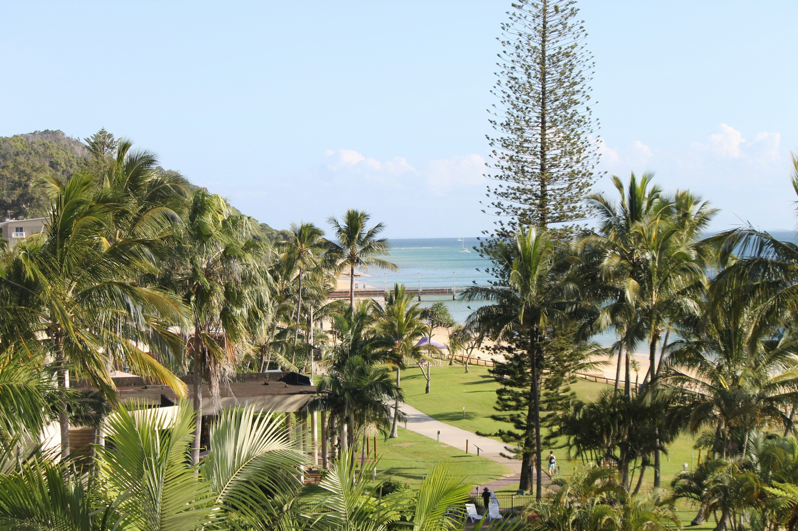 Tropical Oceanfront Path Framed by Palms