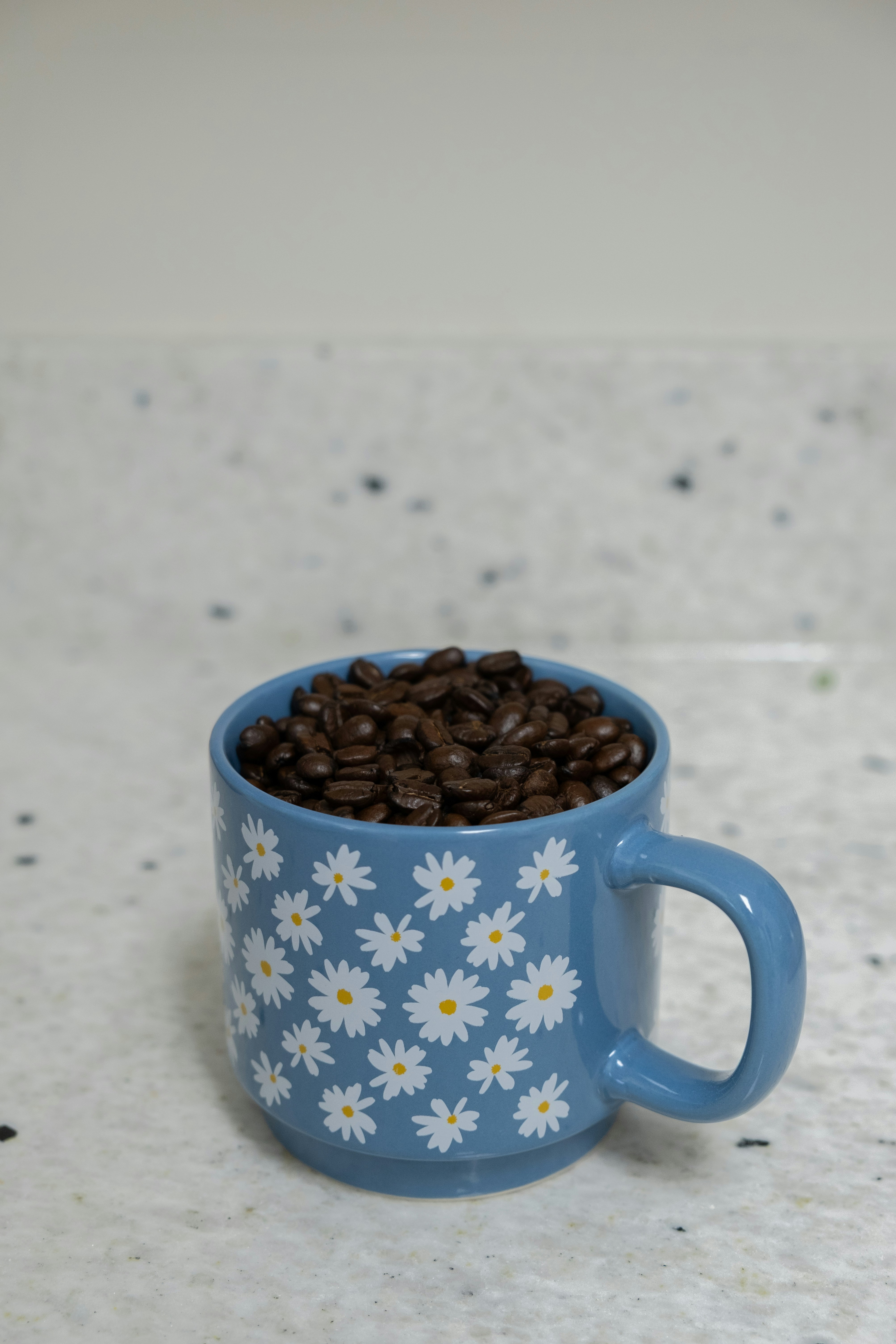 Daisy-Pattern Blue Mug Brimming with Coffee Beans
