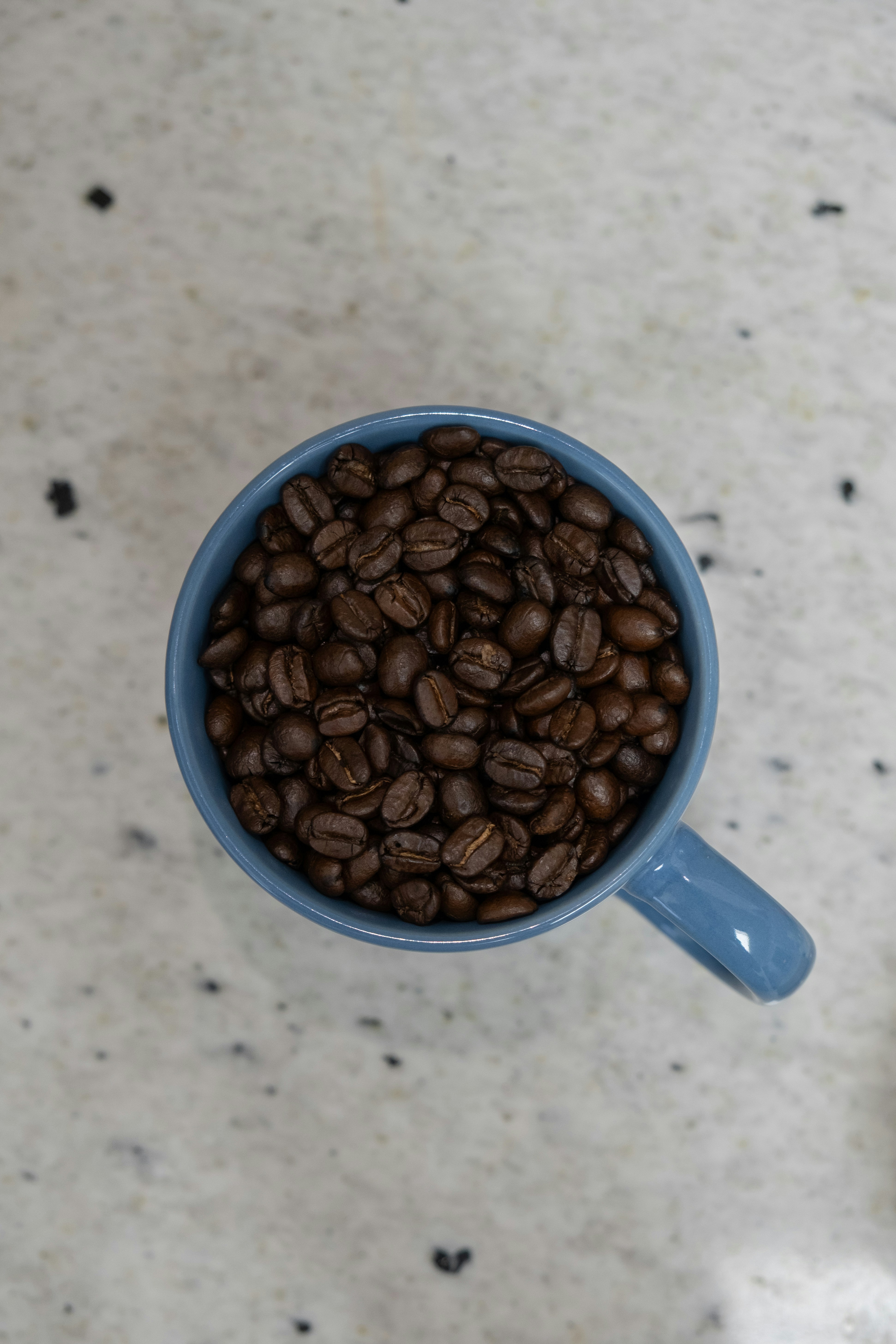 Cozy Blue Cup Brimming with Rich Coffee Beans