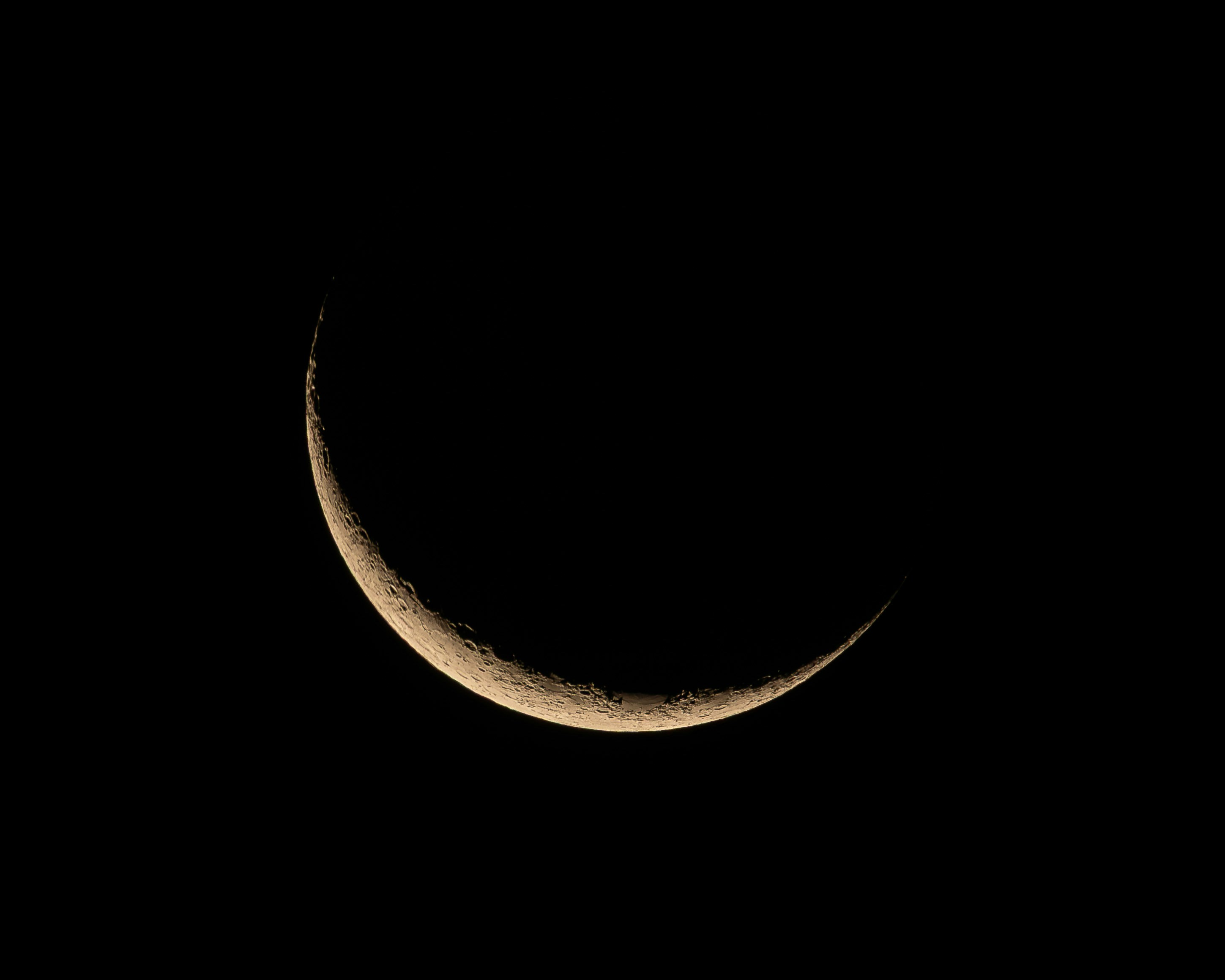 Slim crescent moon glows gold against a black sky, emphasizing texture along the terminator. A minimalist celestial detail captured with a silhouetted backdrop.