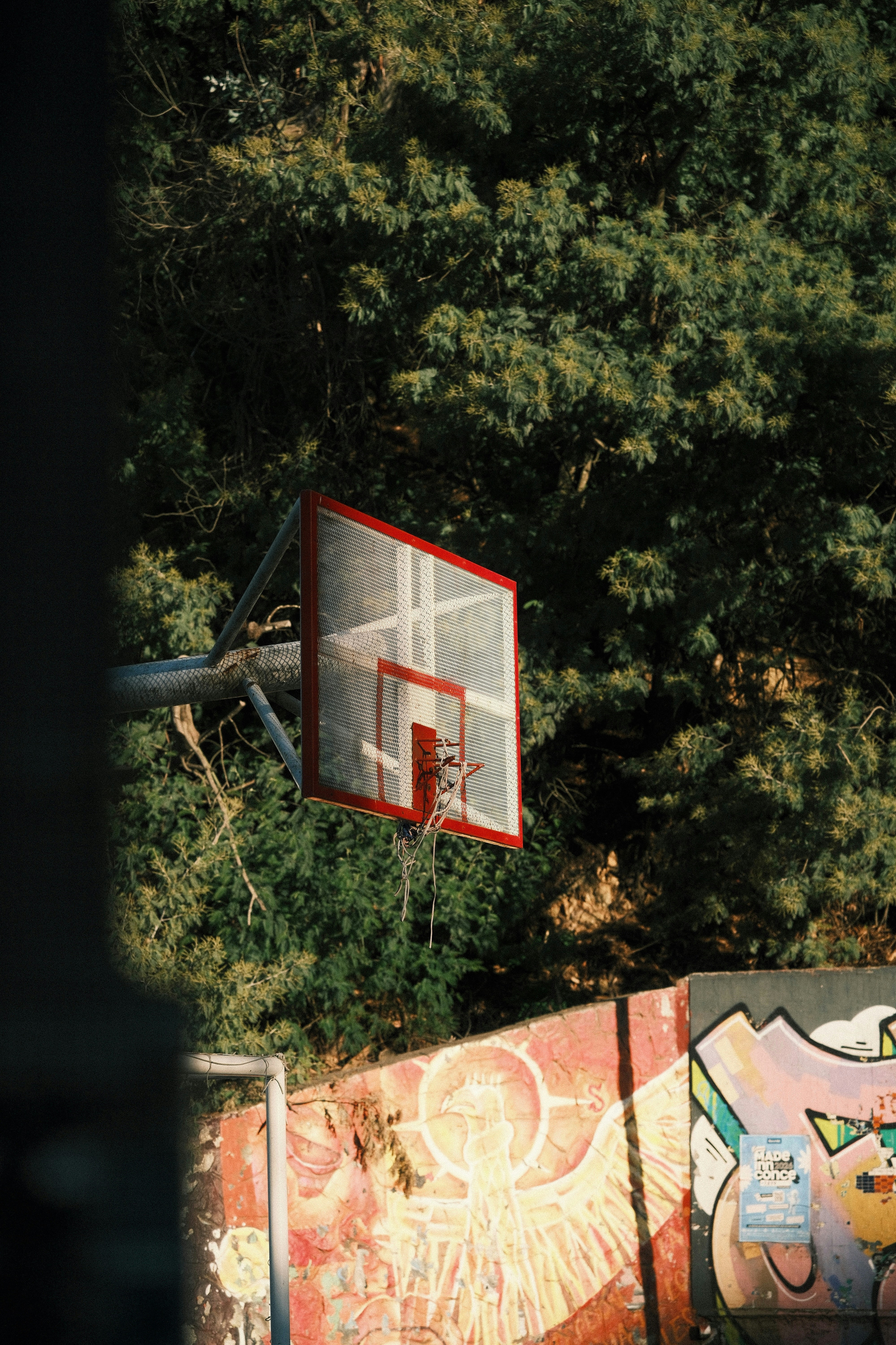 Hoop Dreams Over Graffitied Walls