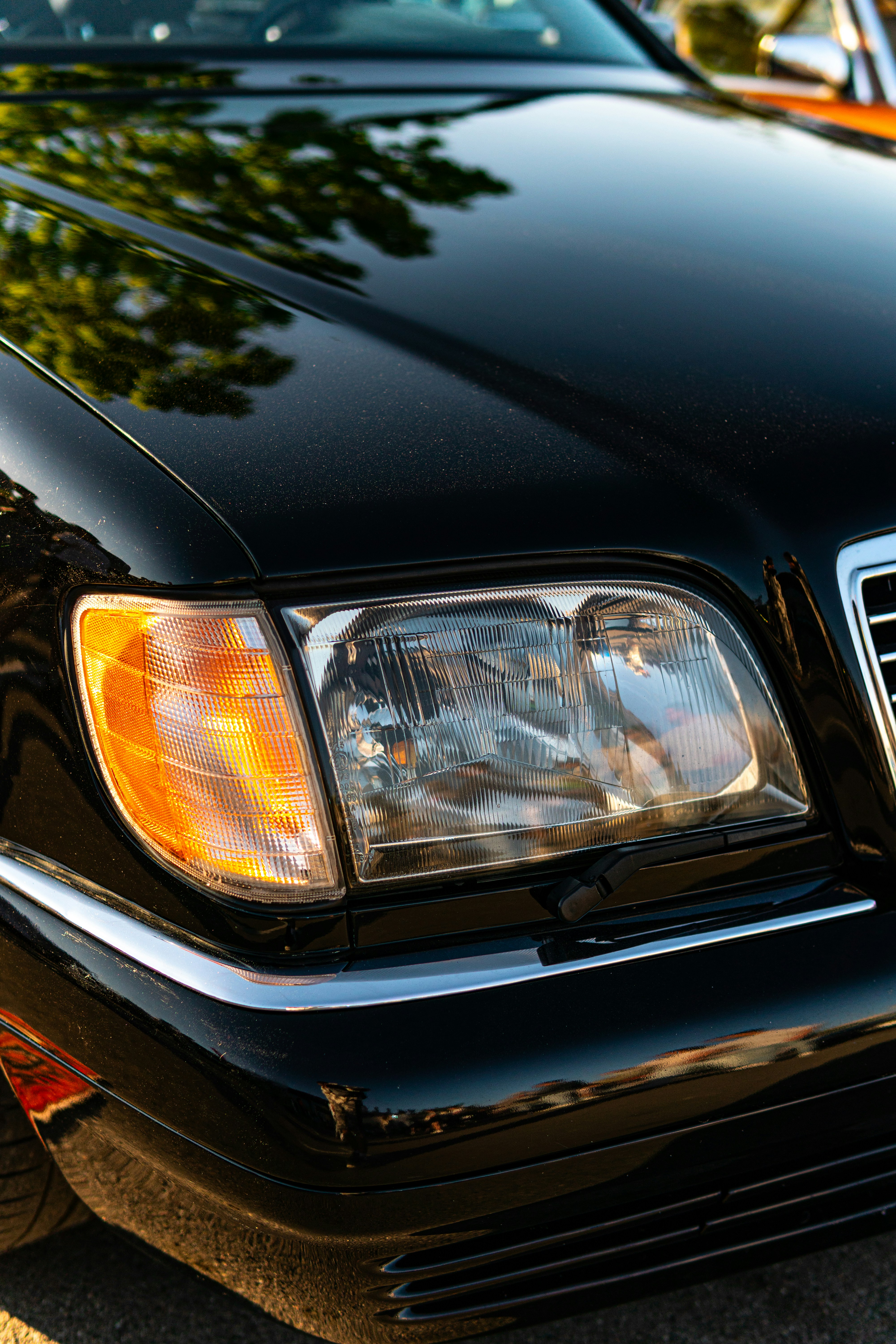Close-Up of a Glossy Car Hood Reflecting Trees and Sky