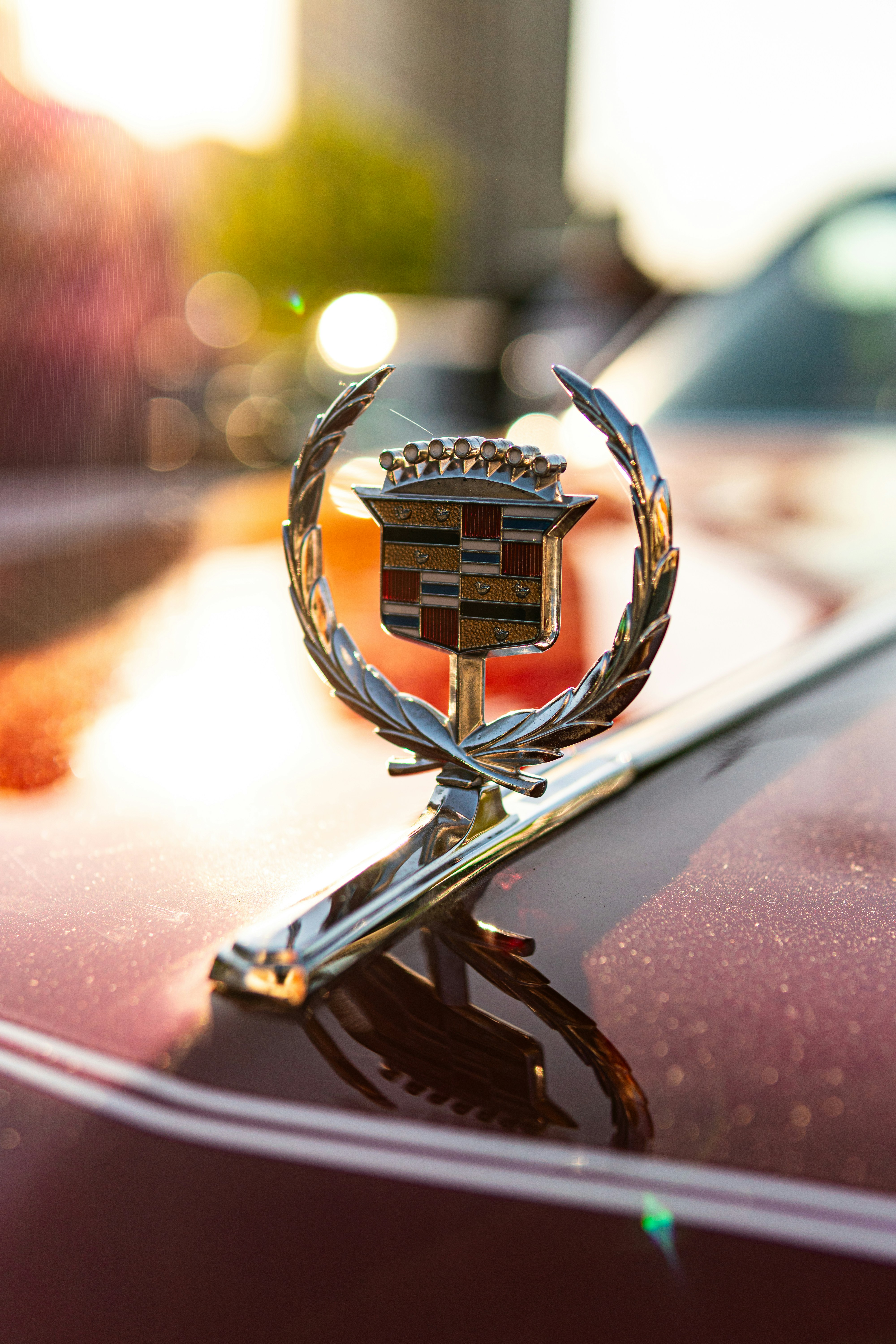 Chrome Cadillac Emblem Anchored by a Glimmering Hood Line