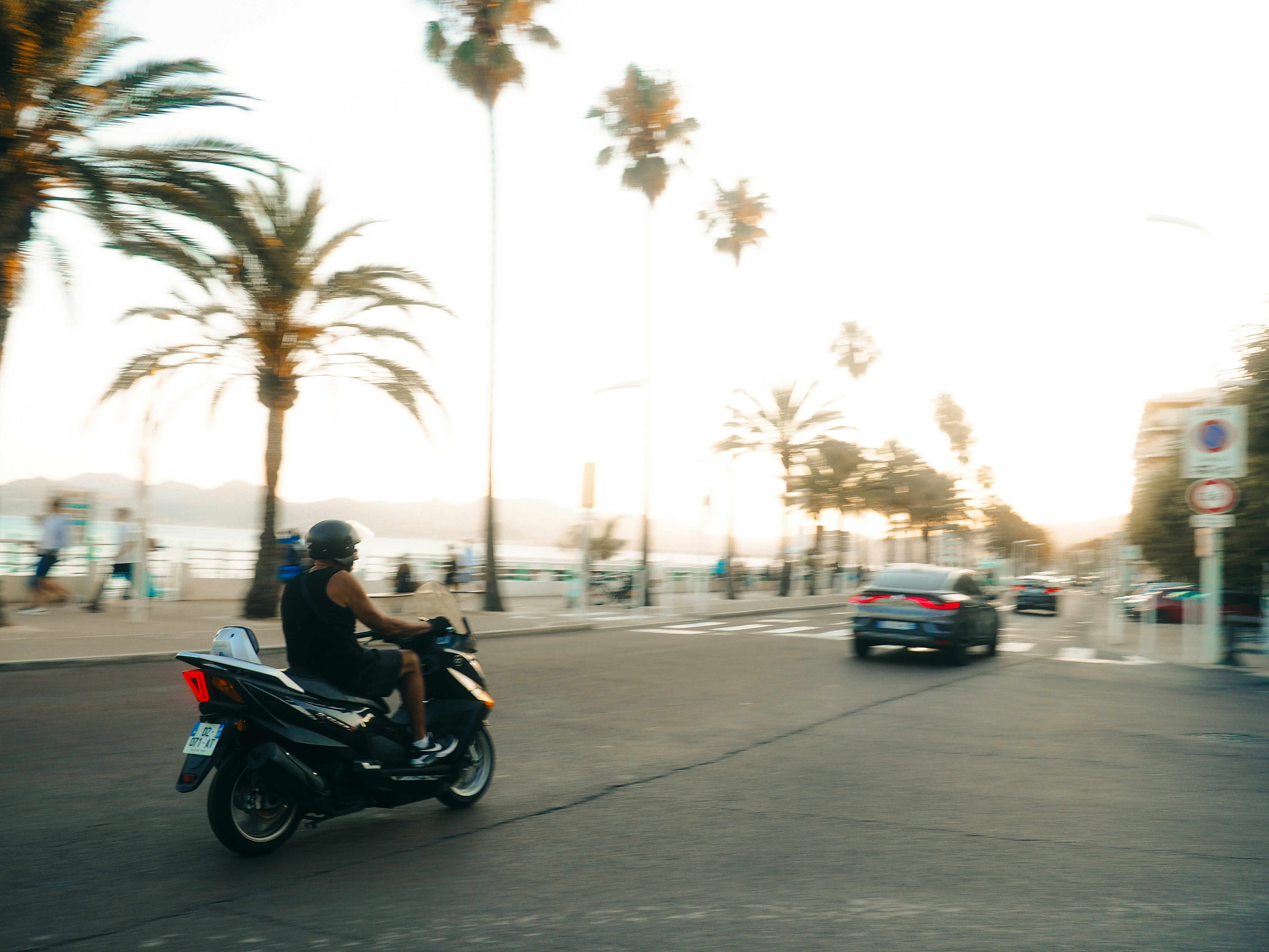 Rider on a Coastal Boulevard: Motion and Palm Shadows