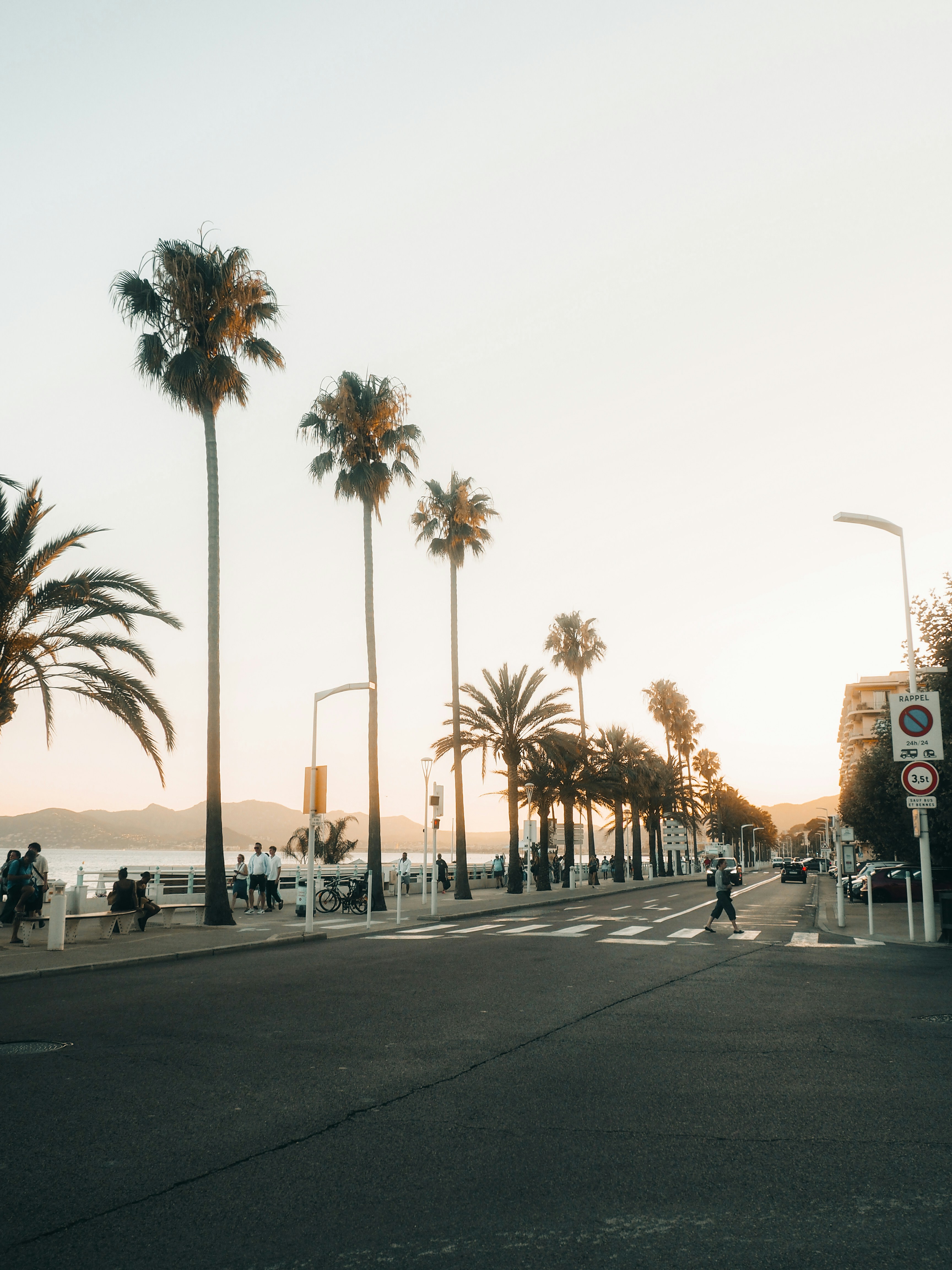 Palm-lined promenade at golden hour by the sea