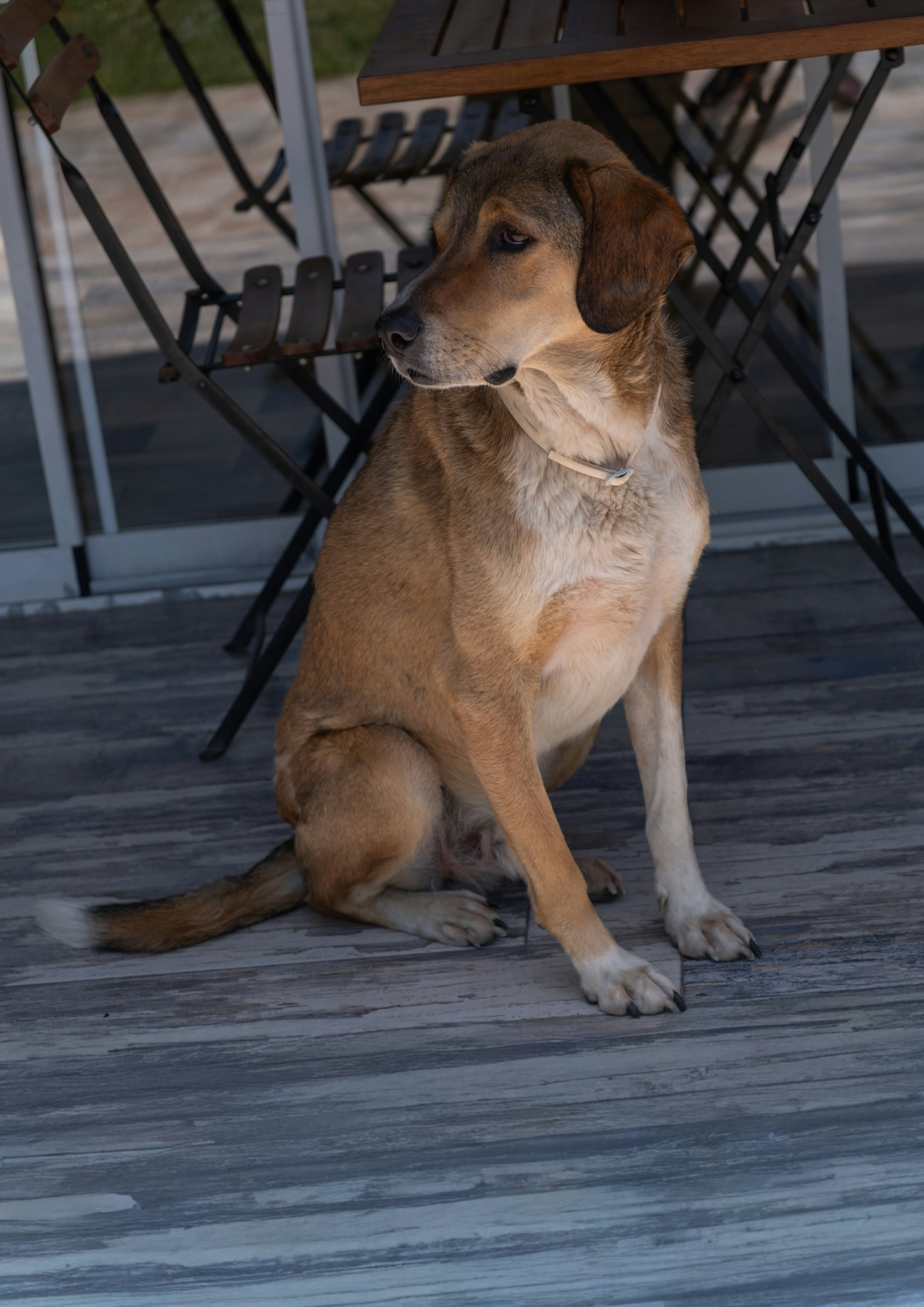 Guided by the Porchlight: A calm sit on weathered planks