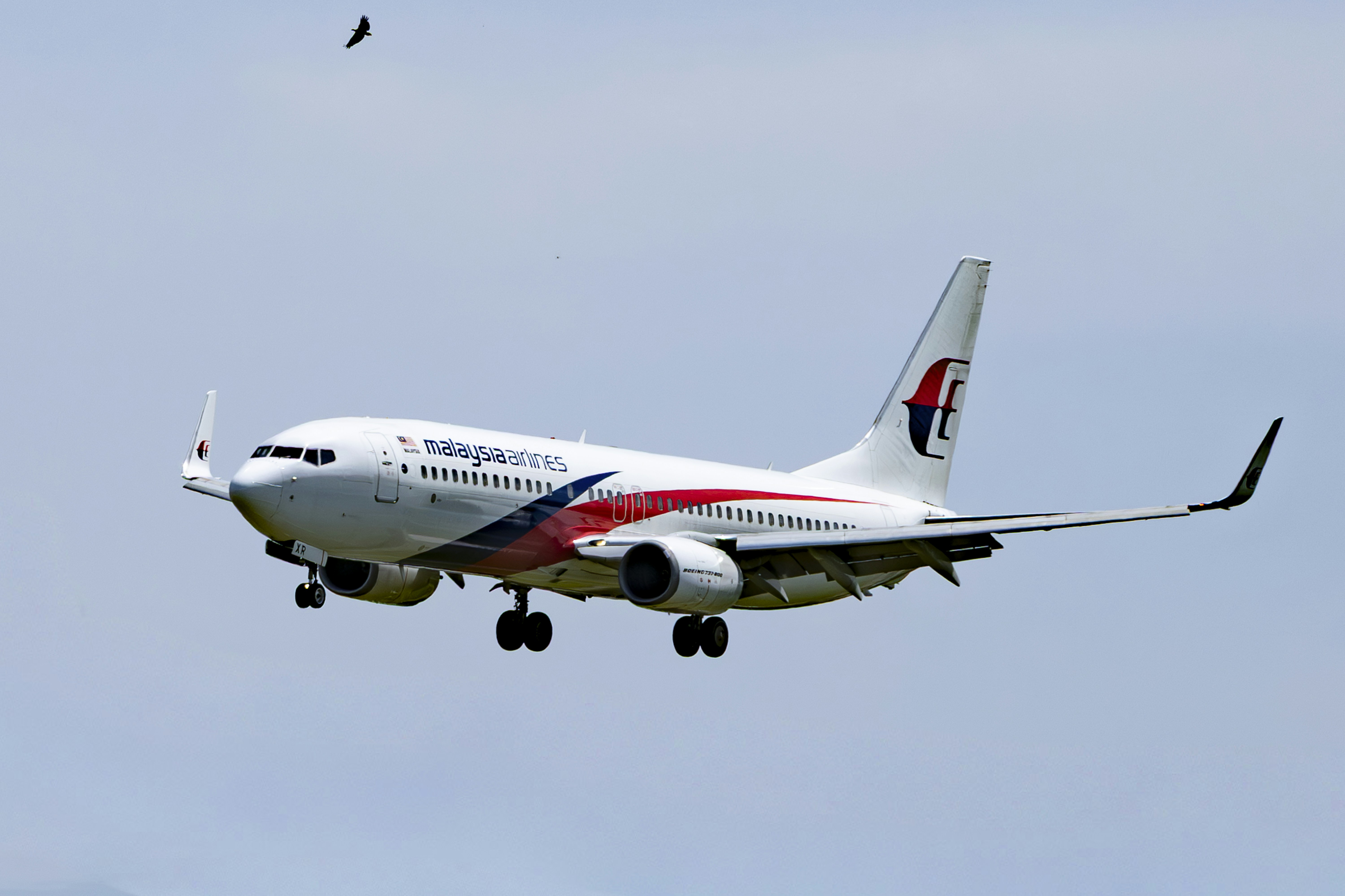 Airliner in ascent: Malagas Airlines cruising silhouette under a clear sky