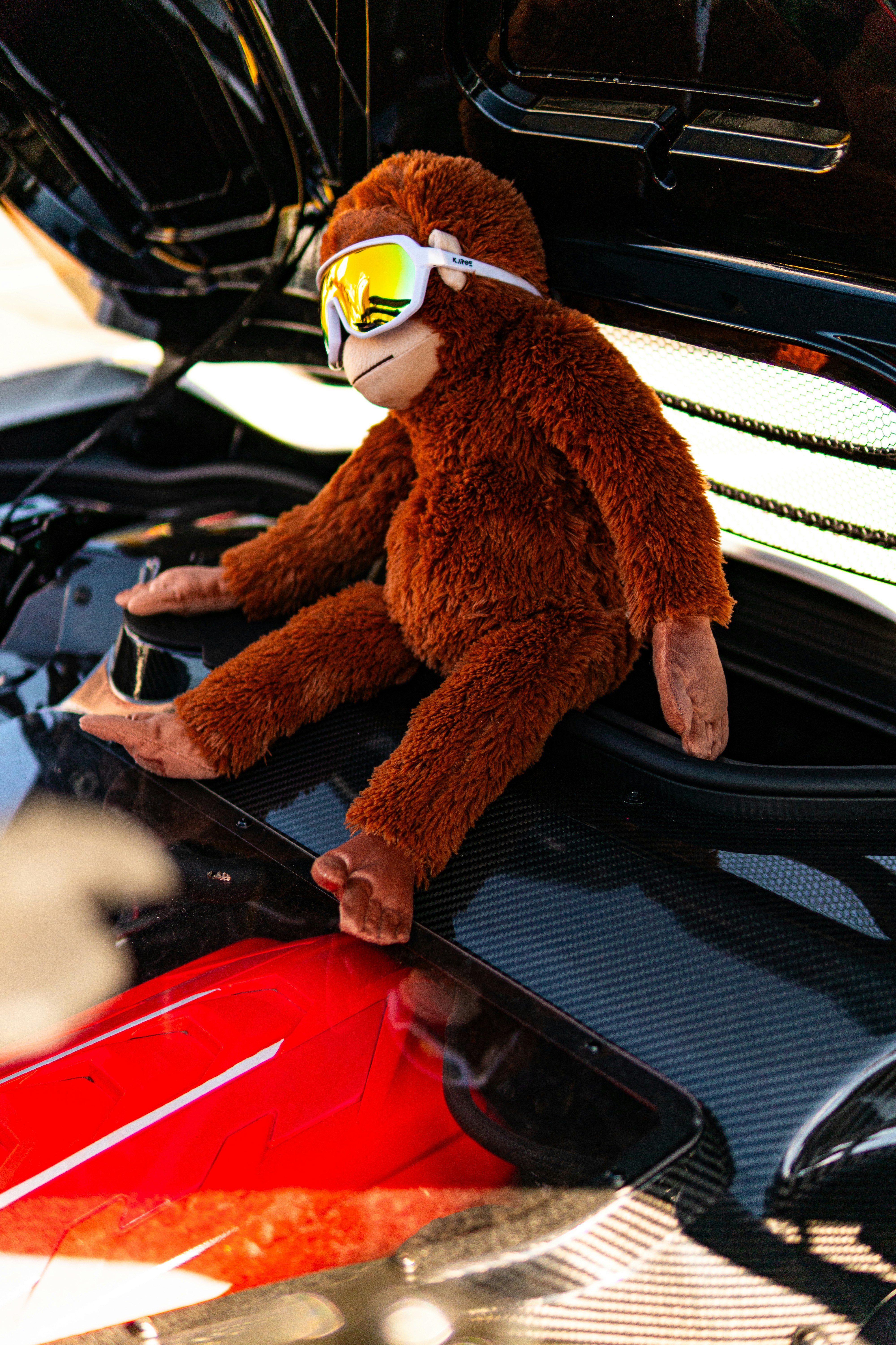 Toy Sloth Sits on a Shiny Car Trunk with Sunglasses