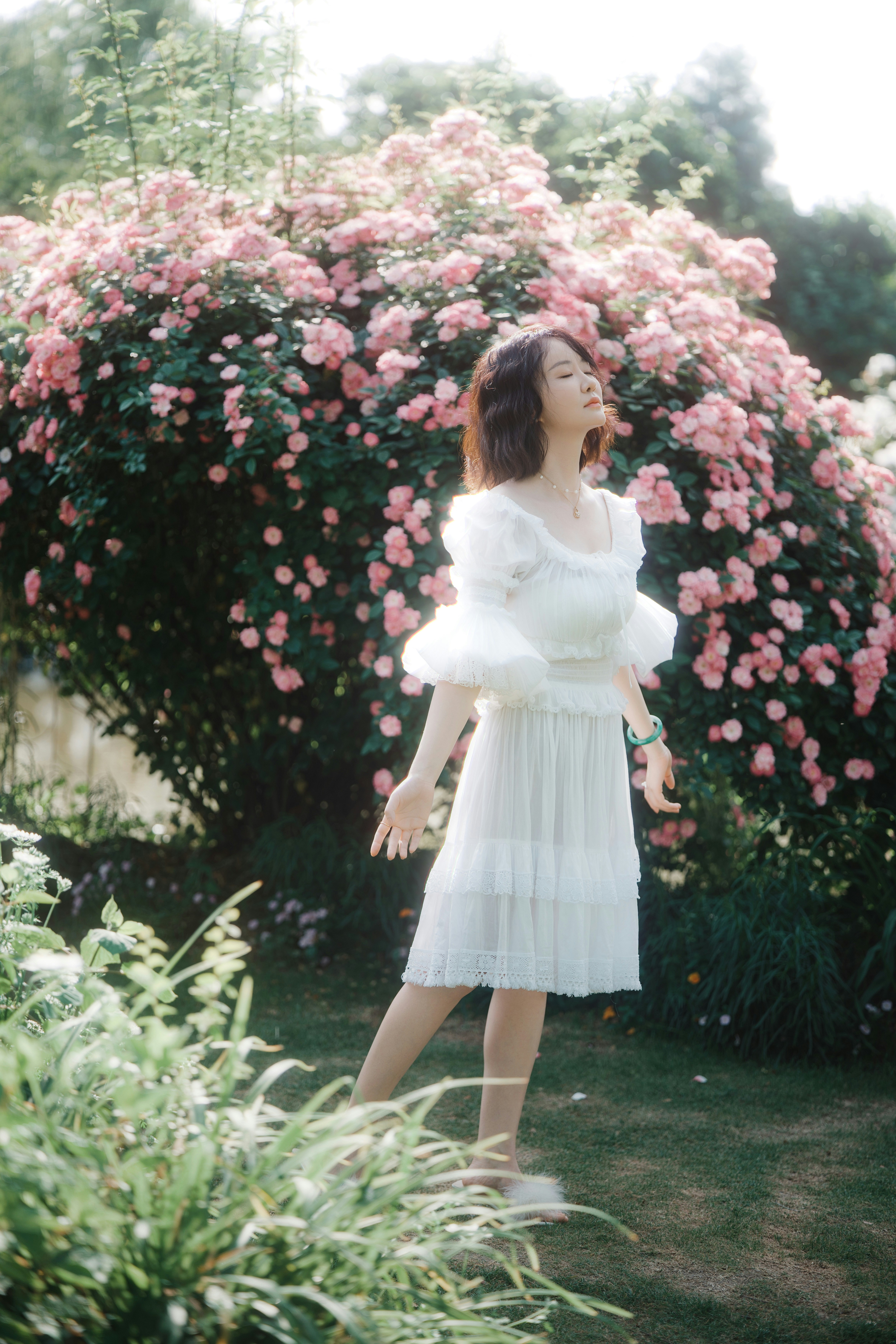 Soft Reverie in a Pink Rose Garden