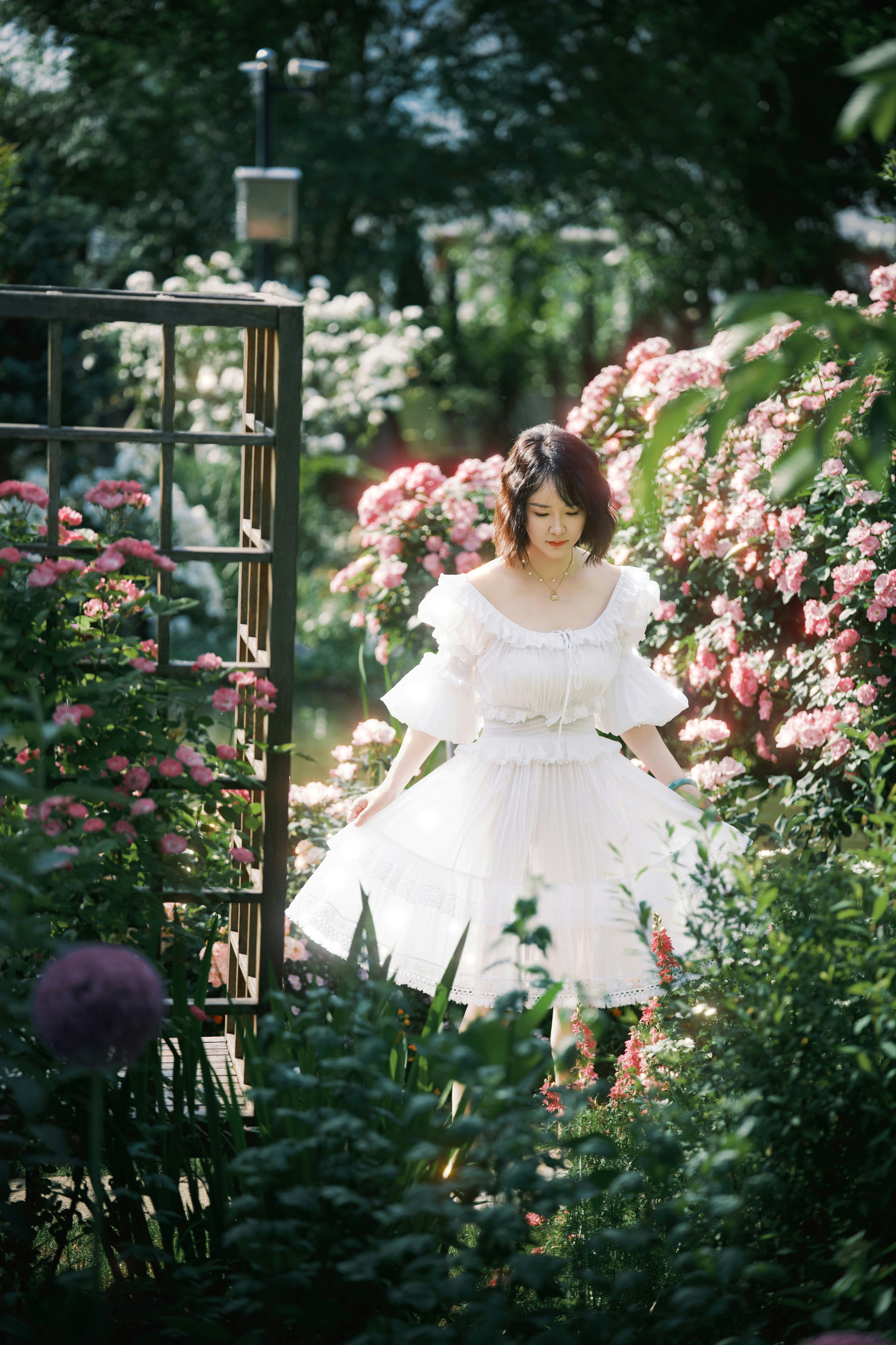 Bride in Bloom: A Whisper of White Through the Rose Garden