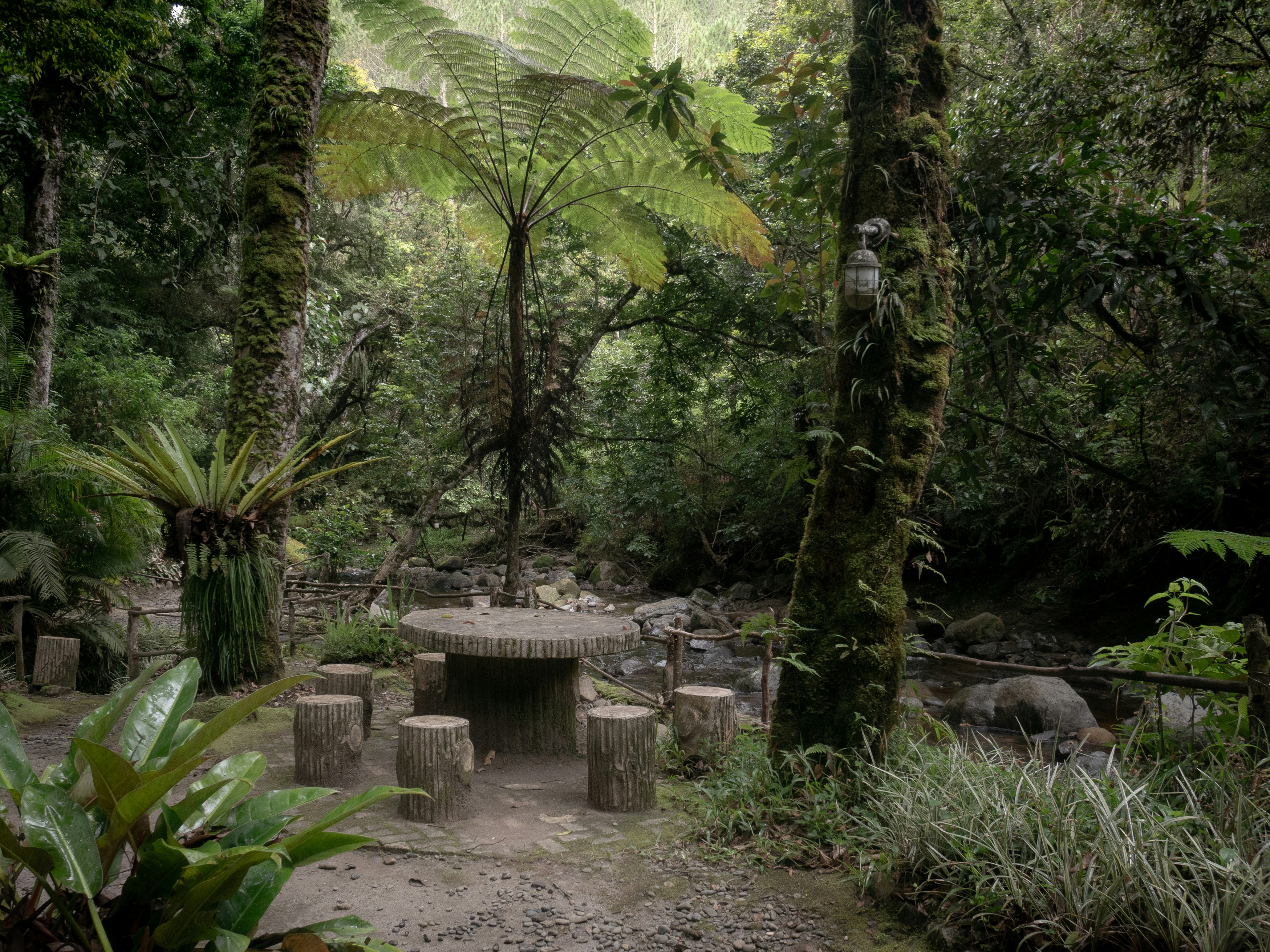 Forest Clearing with Fungus-Patterned Table and Log Stump Seating