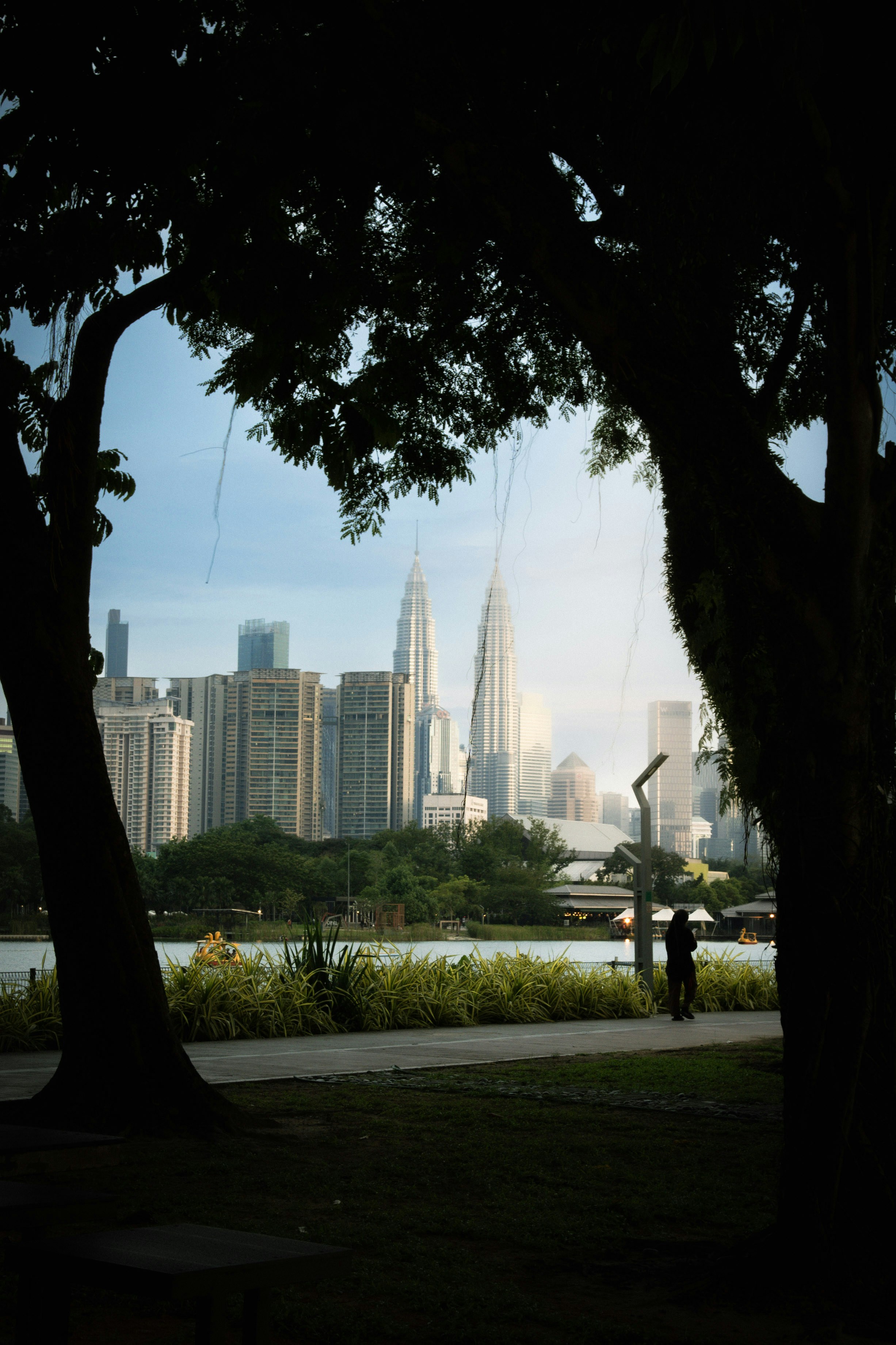Cityscape Framed by Nighttime Trees Overhanging a Riverside Park