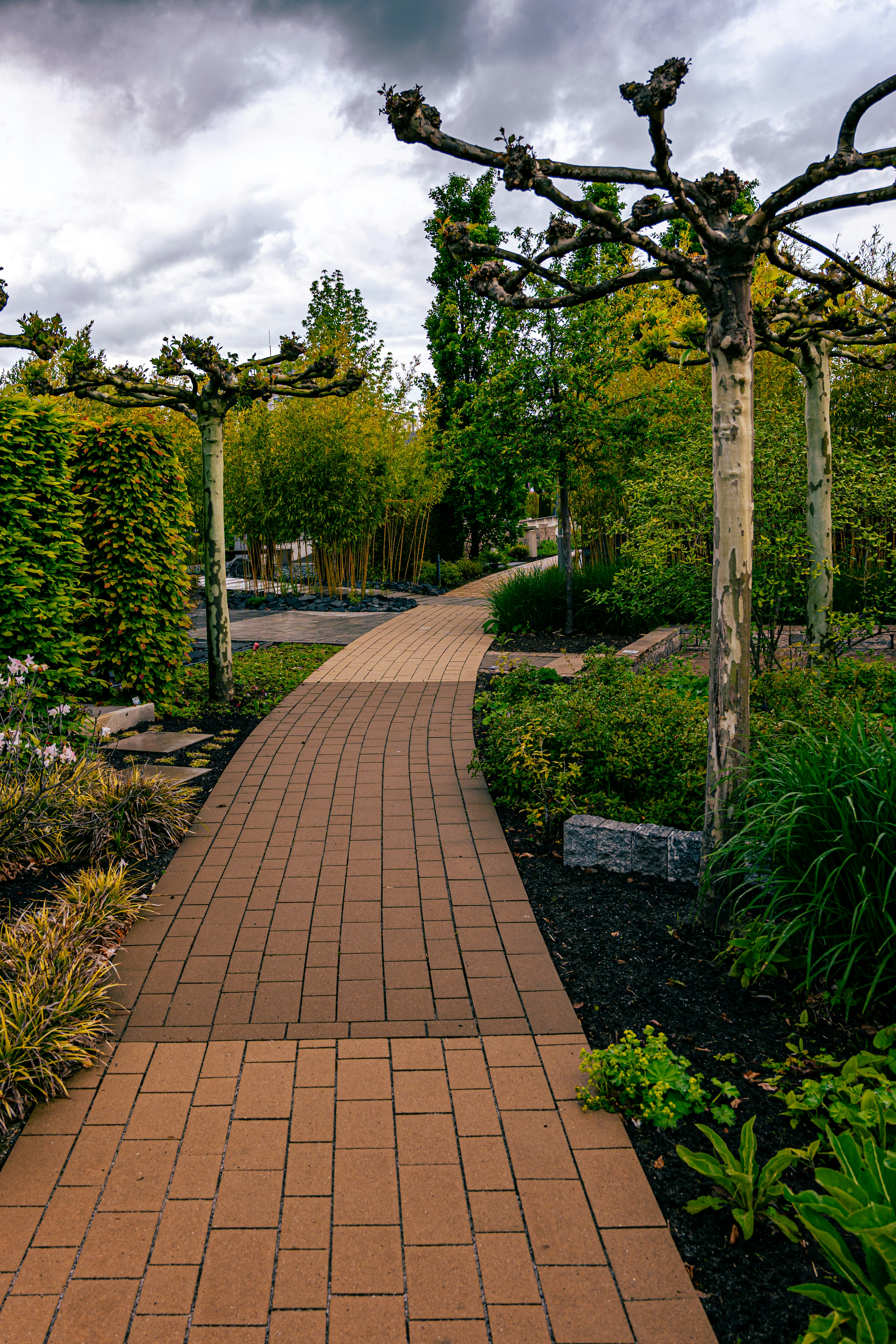 Winding brick corridor through a manicured garden
