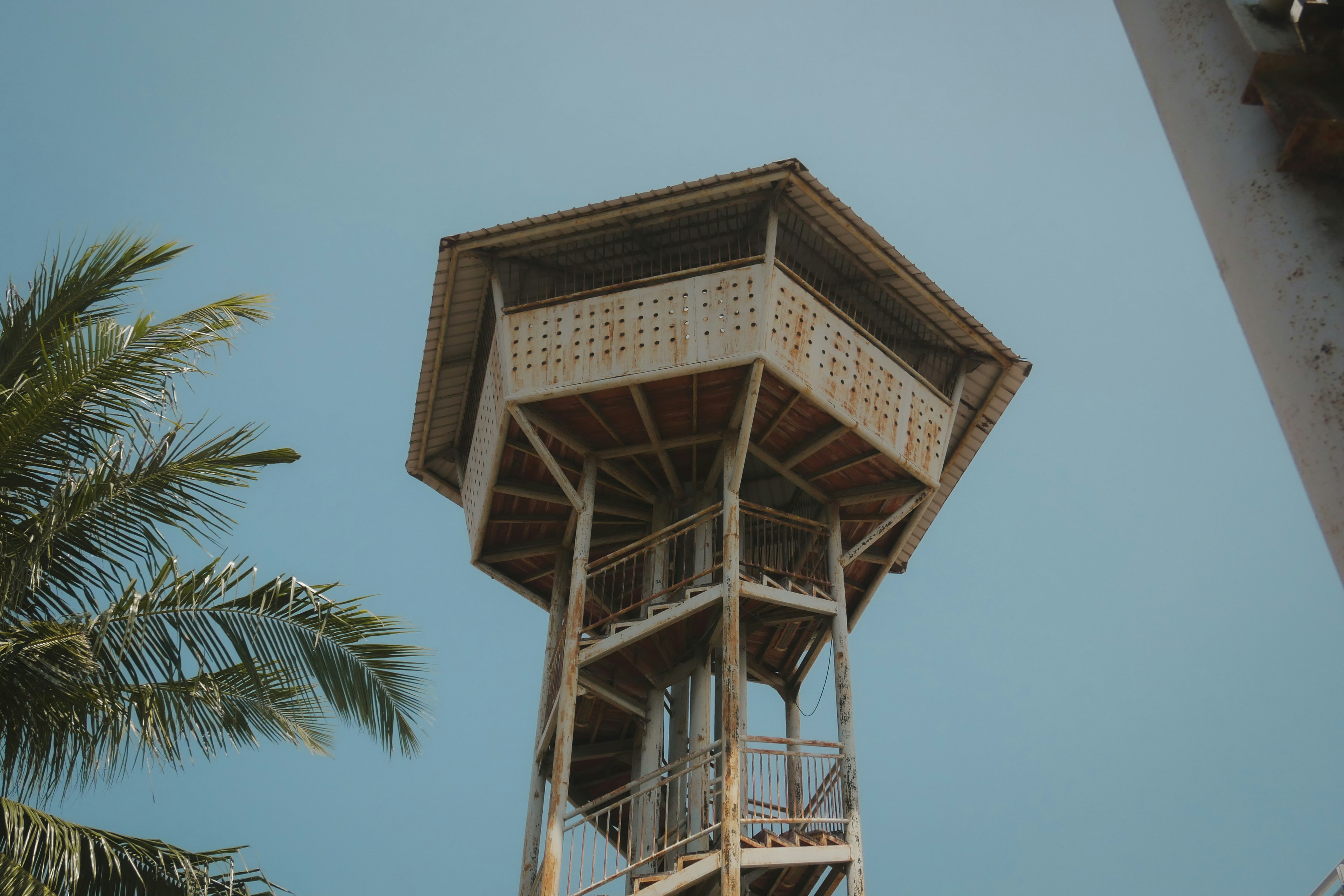 Towering Woods: A Weathered Lookout Rising Against a Clear Sky