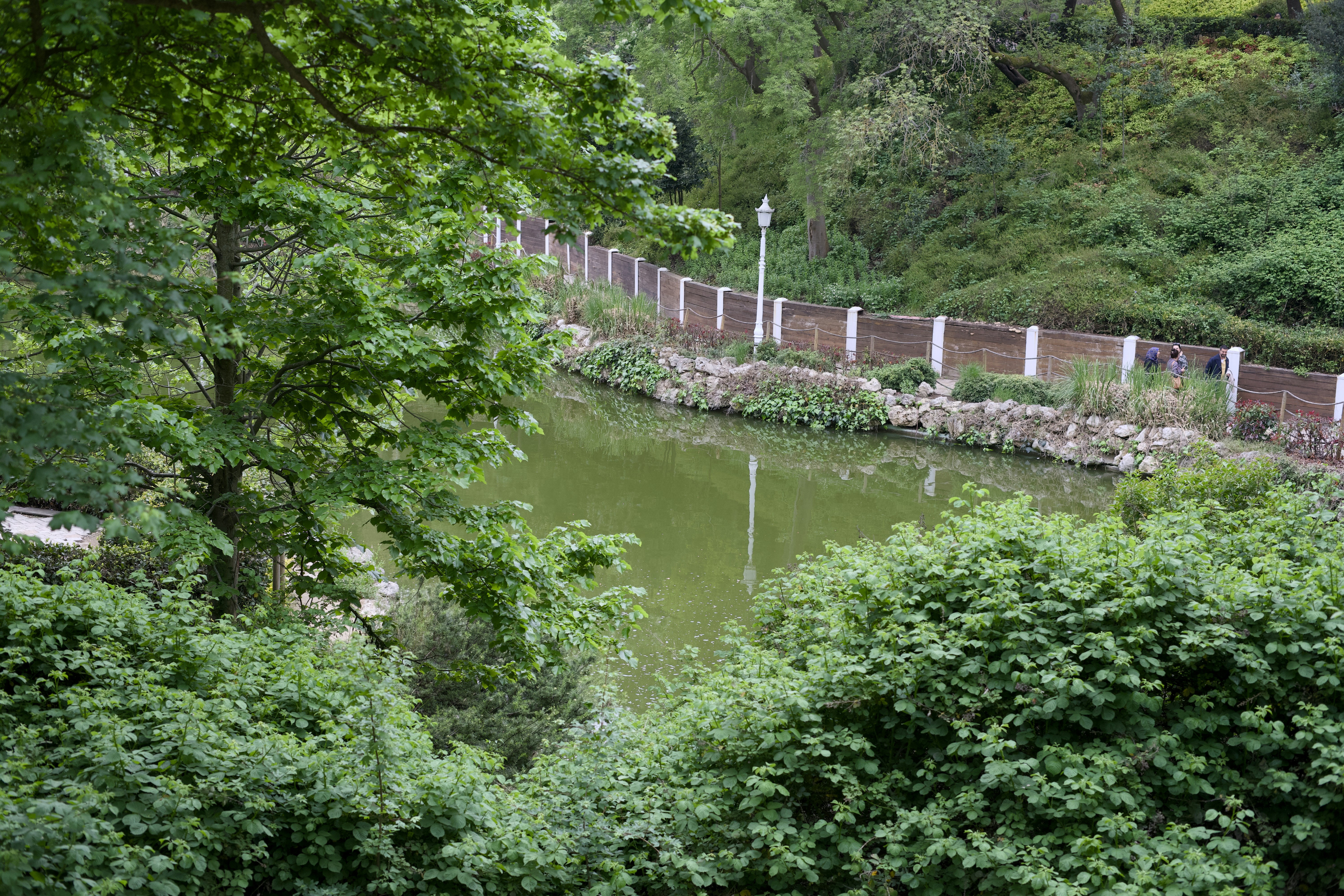 Verdant Riverside Pathline Hidden by Foliage