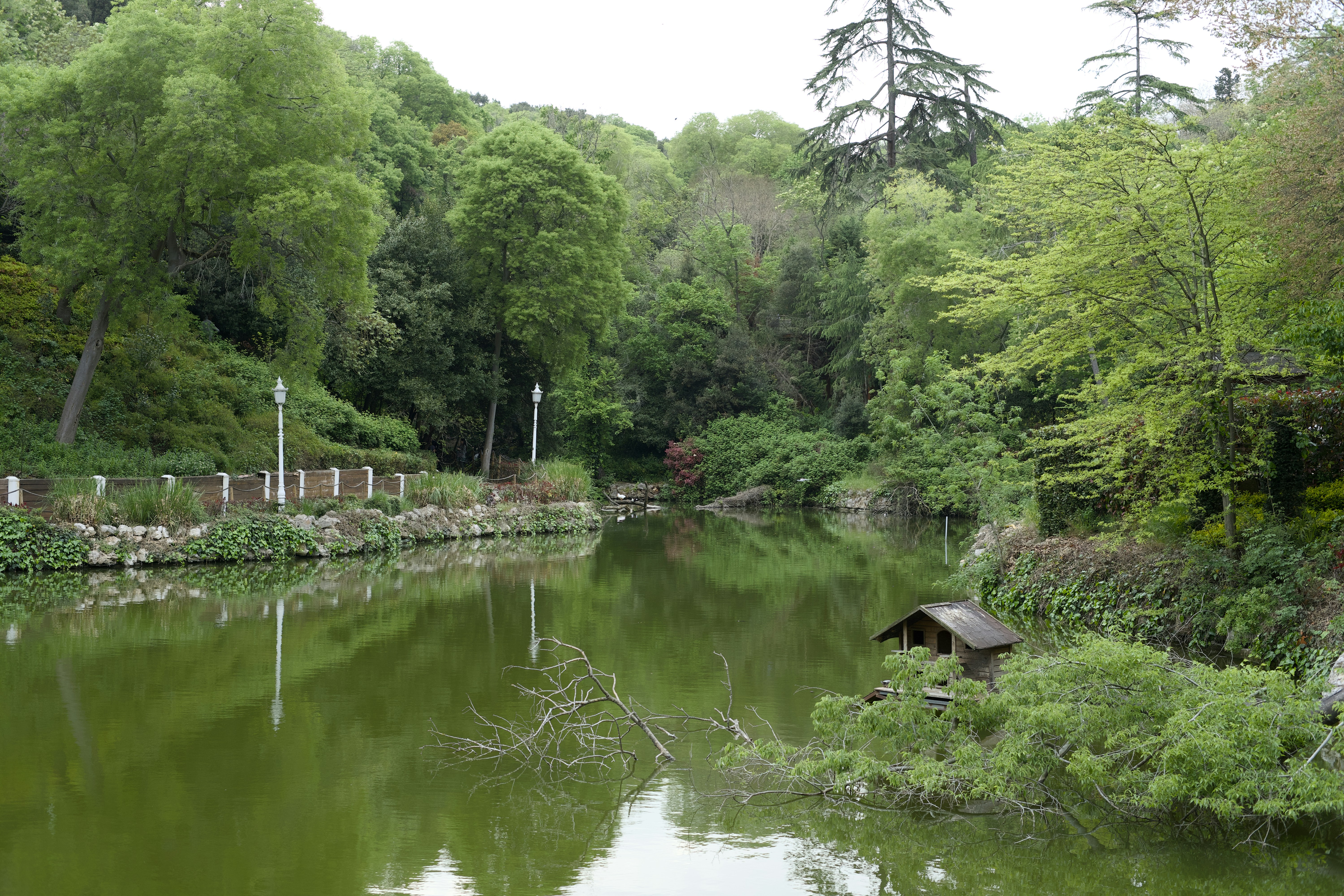 Serene bend: a lush riverside retreat with a small hut