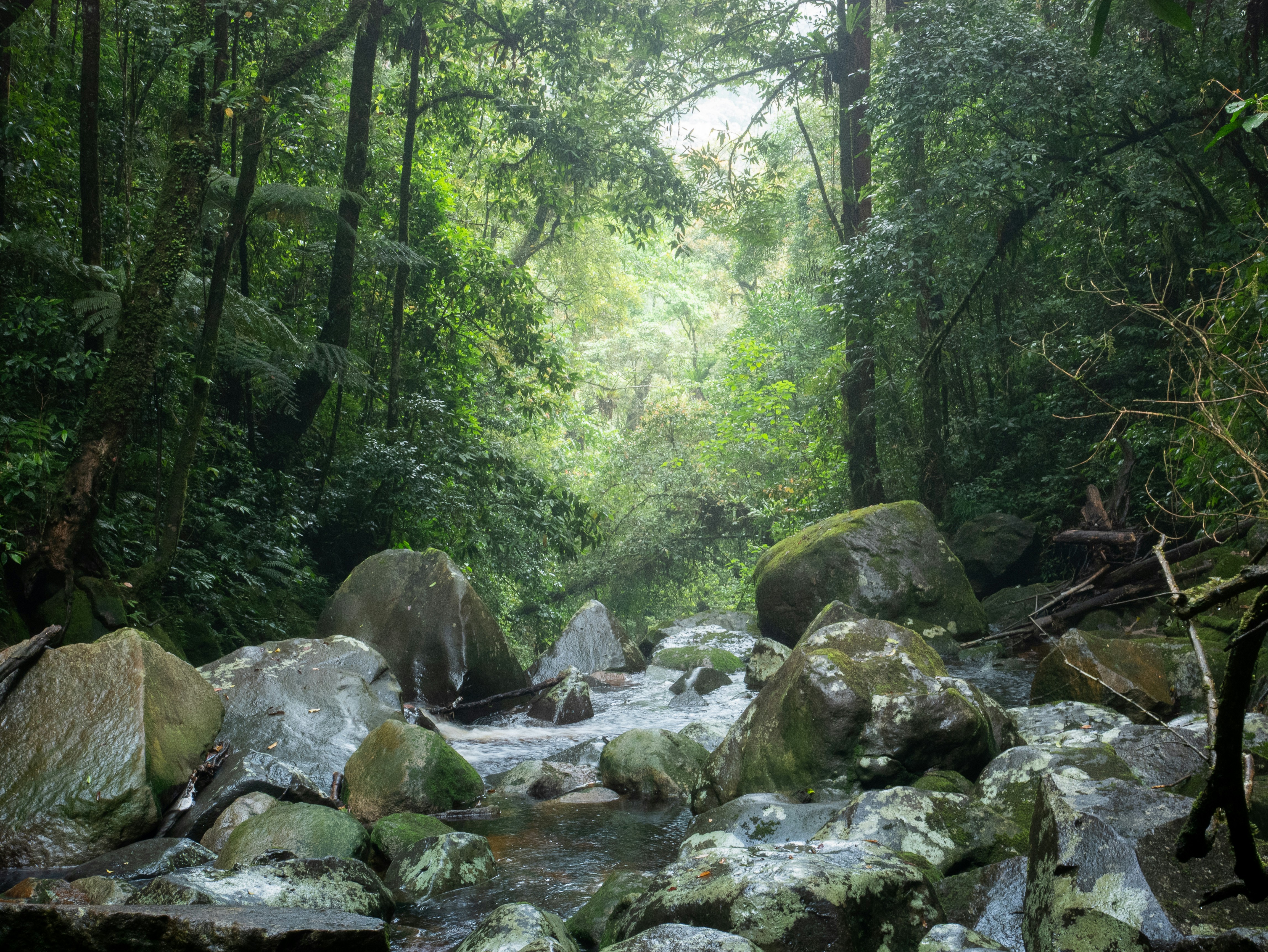 Mossy River Run Through a Quiet Green Pass