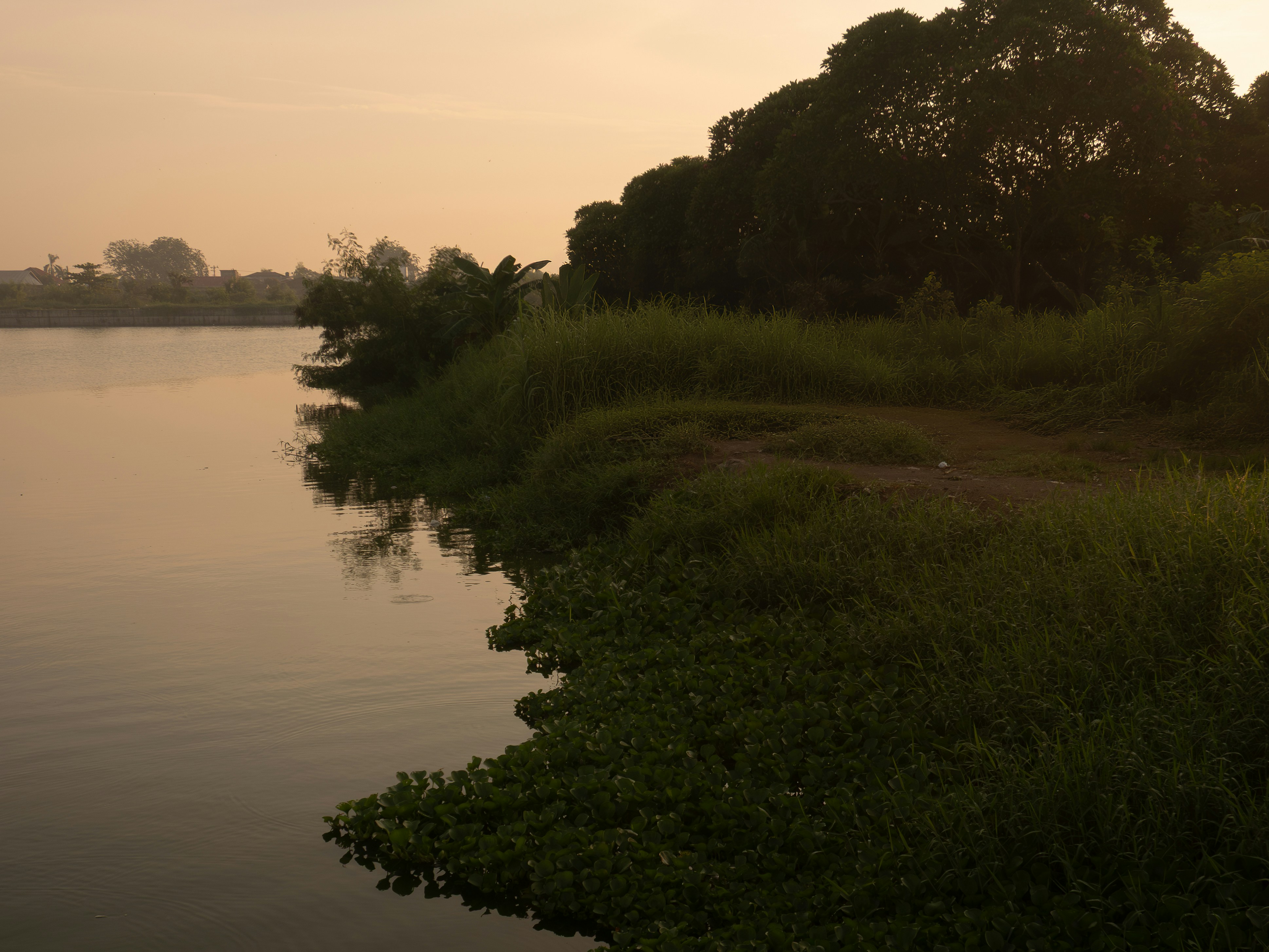 Dusk at the Riverbank: Quiet Reflections by a Winding Shore