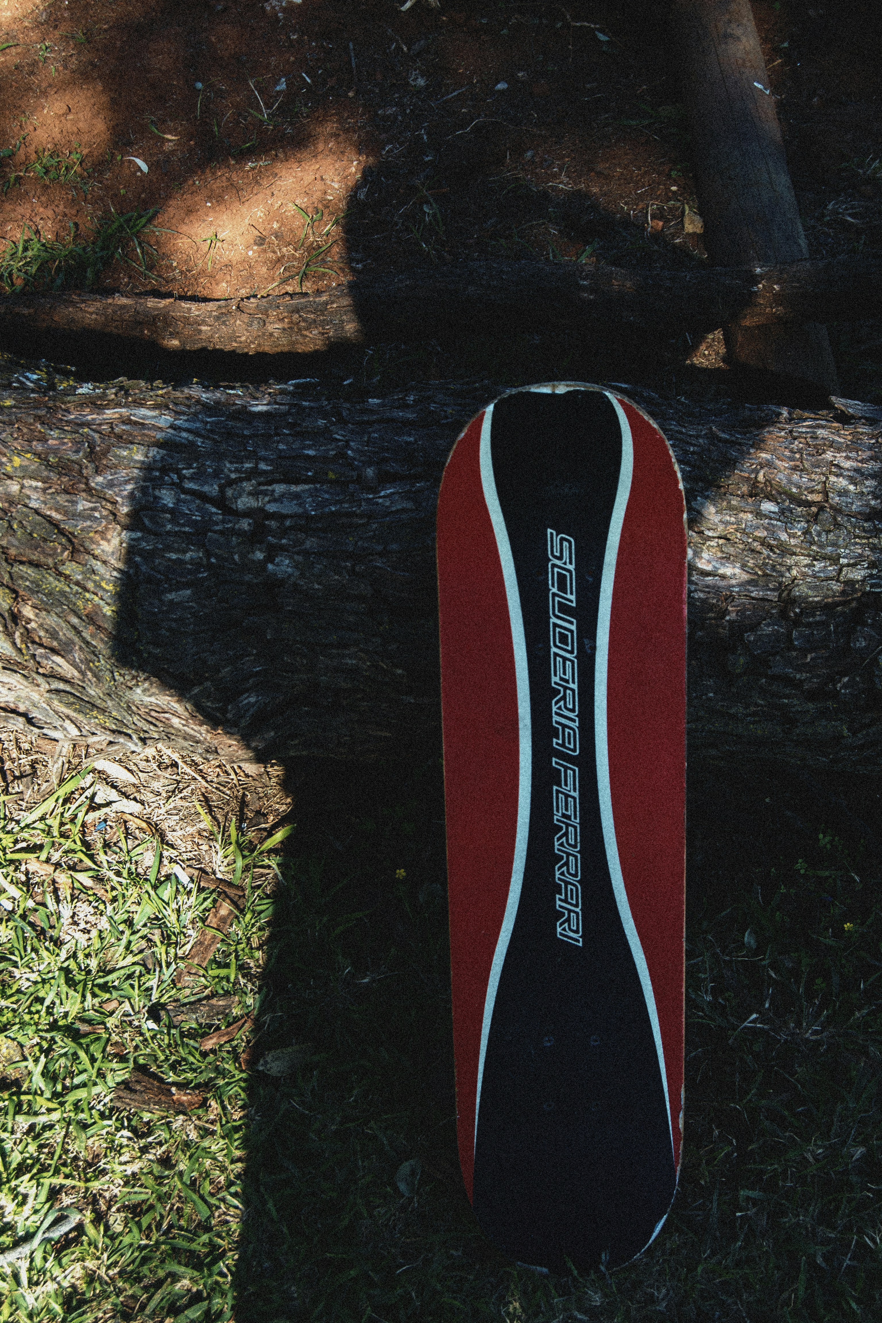 Red and black Slalom Deck Resting on a Log in Dappled Shade