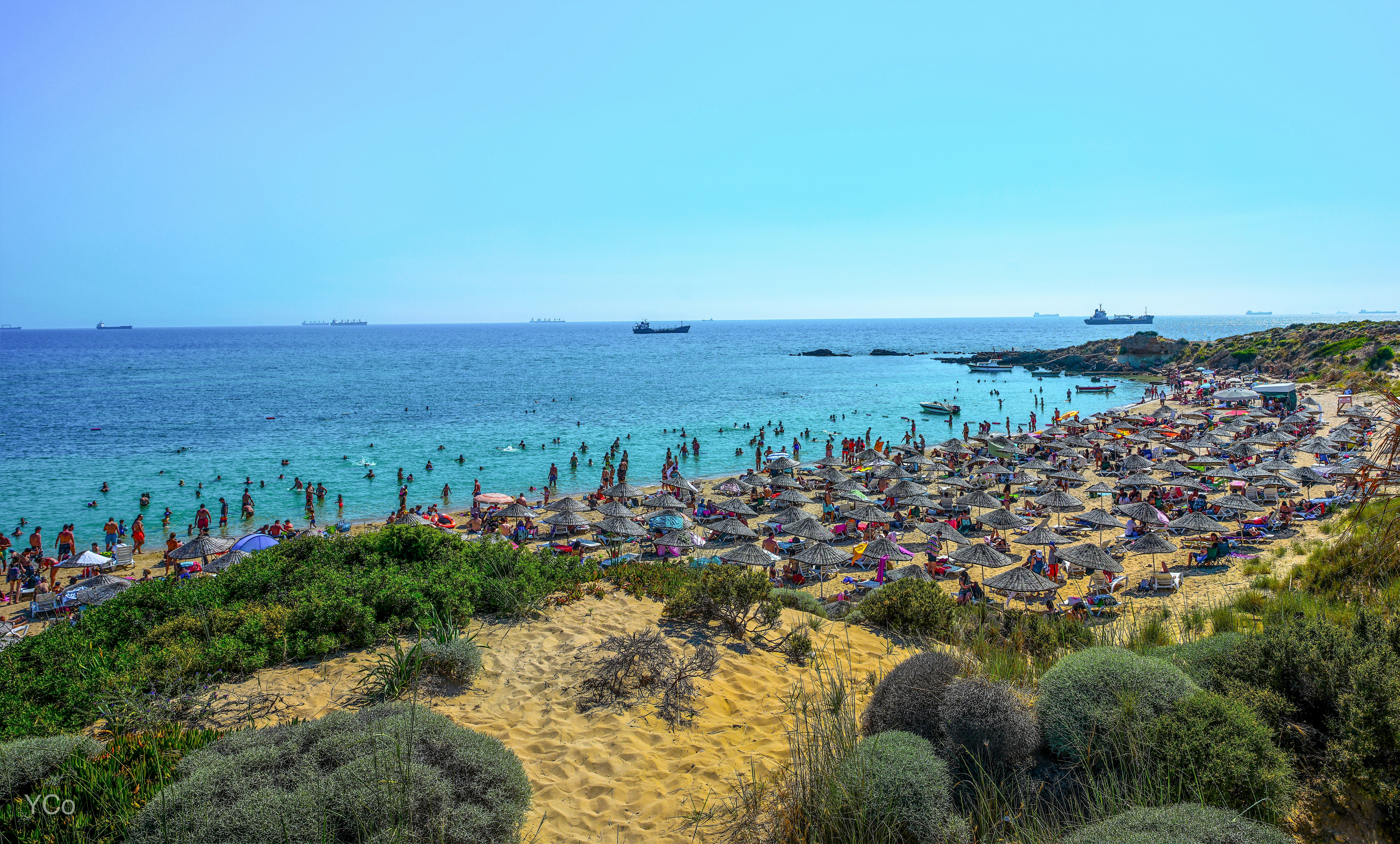Sunlit Coastal Oasis: A crowded turquoise shoreline under a clear blue sky