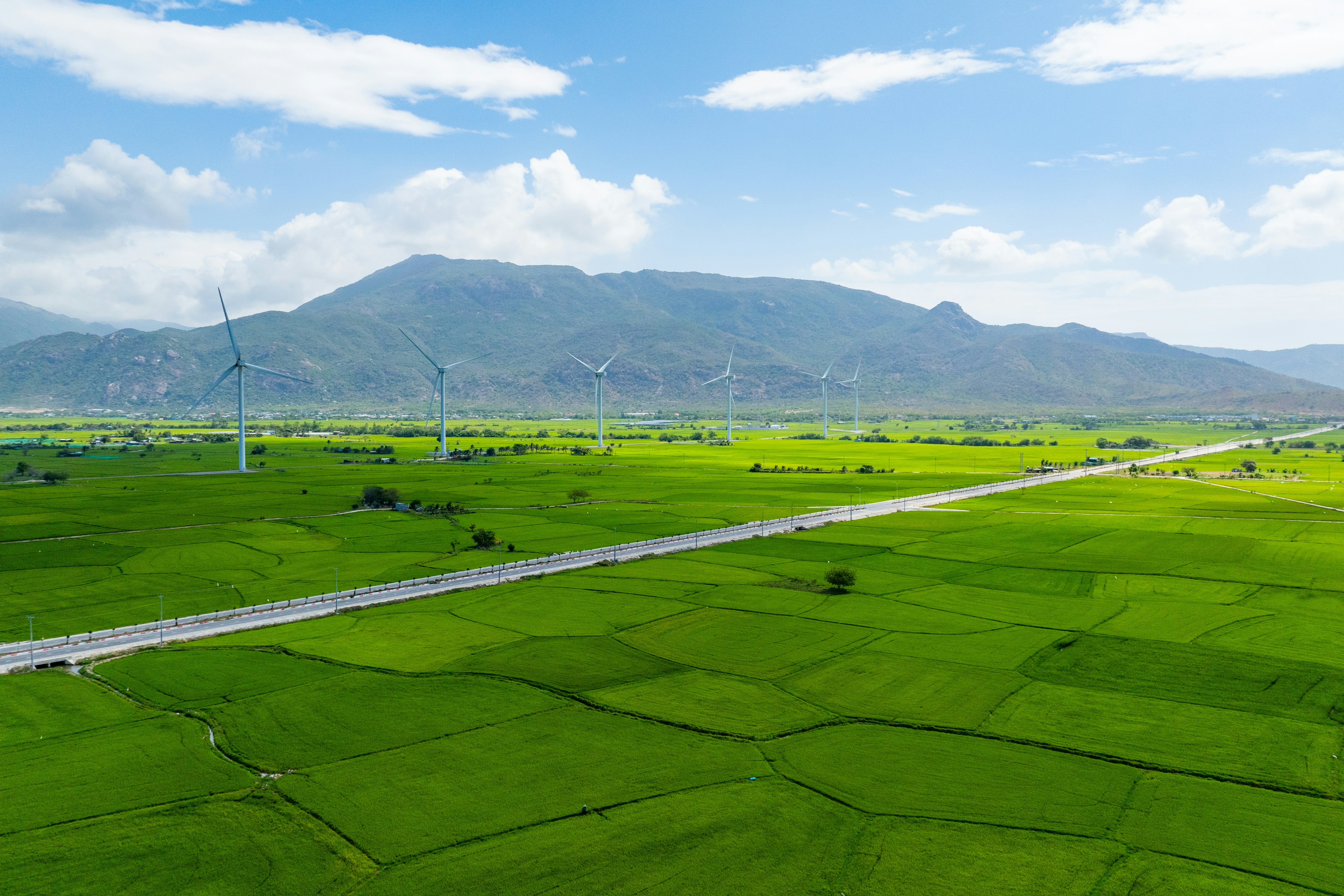 Green Sea of Fields with Wind Turbines Beneath a Mountain Range
