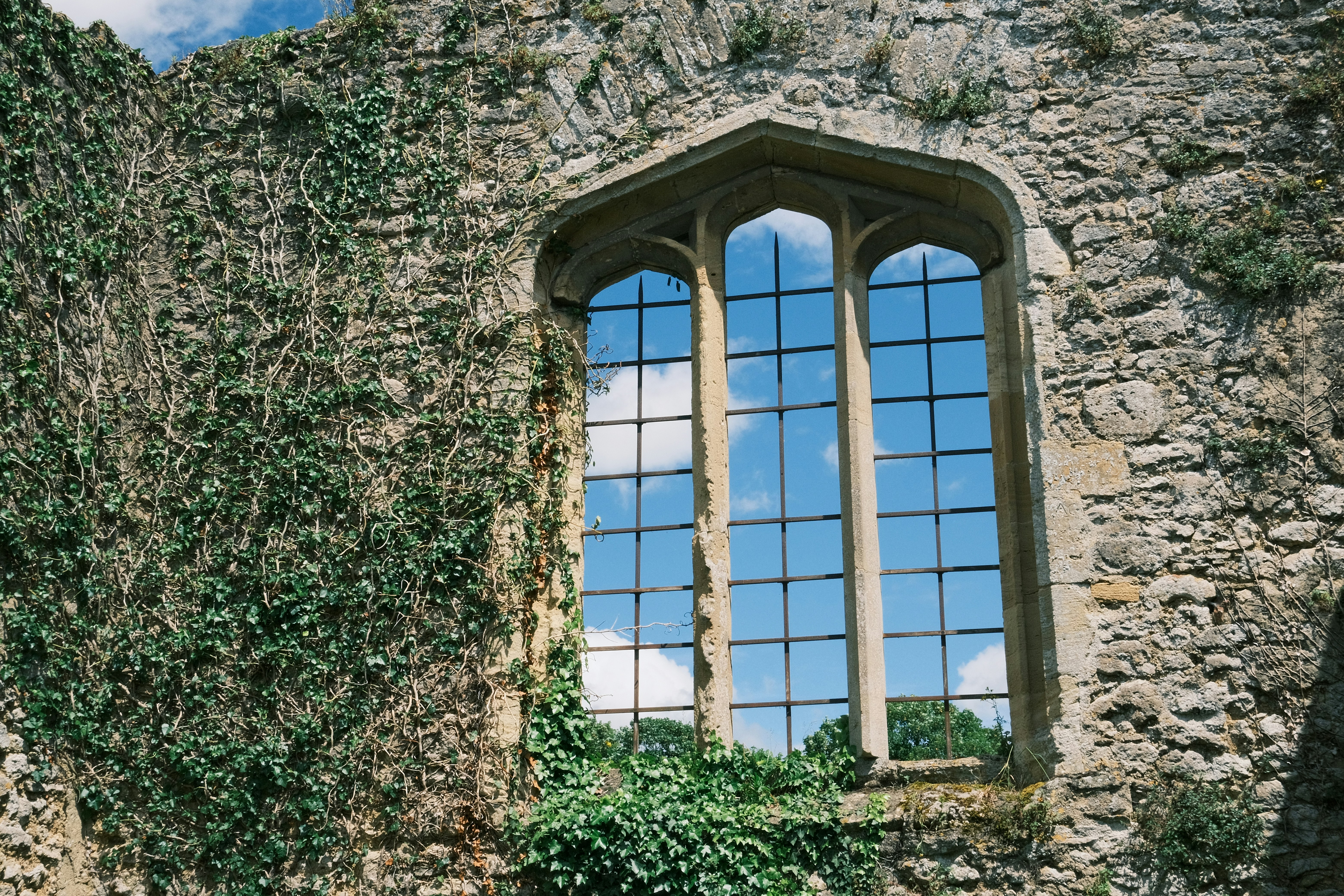 Heritage Window Veil: Ivy-Crowned Ruin Gazing at a Blue Sky