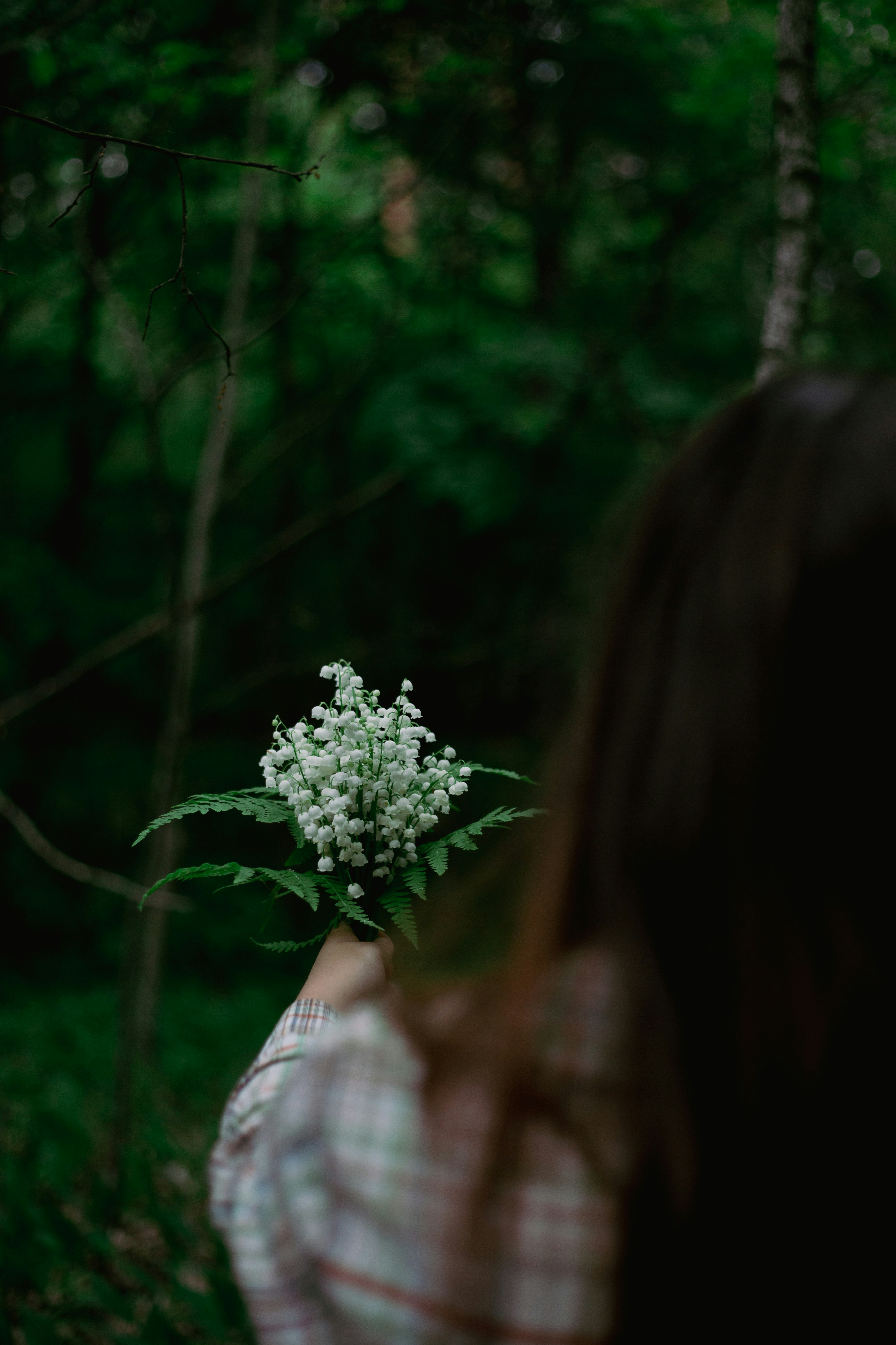 Bouquet of Quiet Springs: A Handful of White Buds in a Forest Embrace