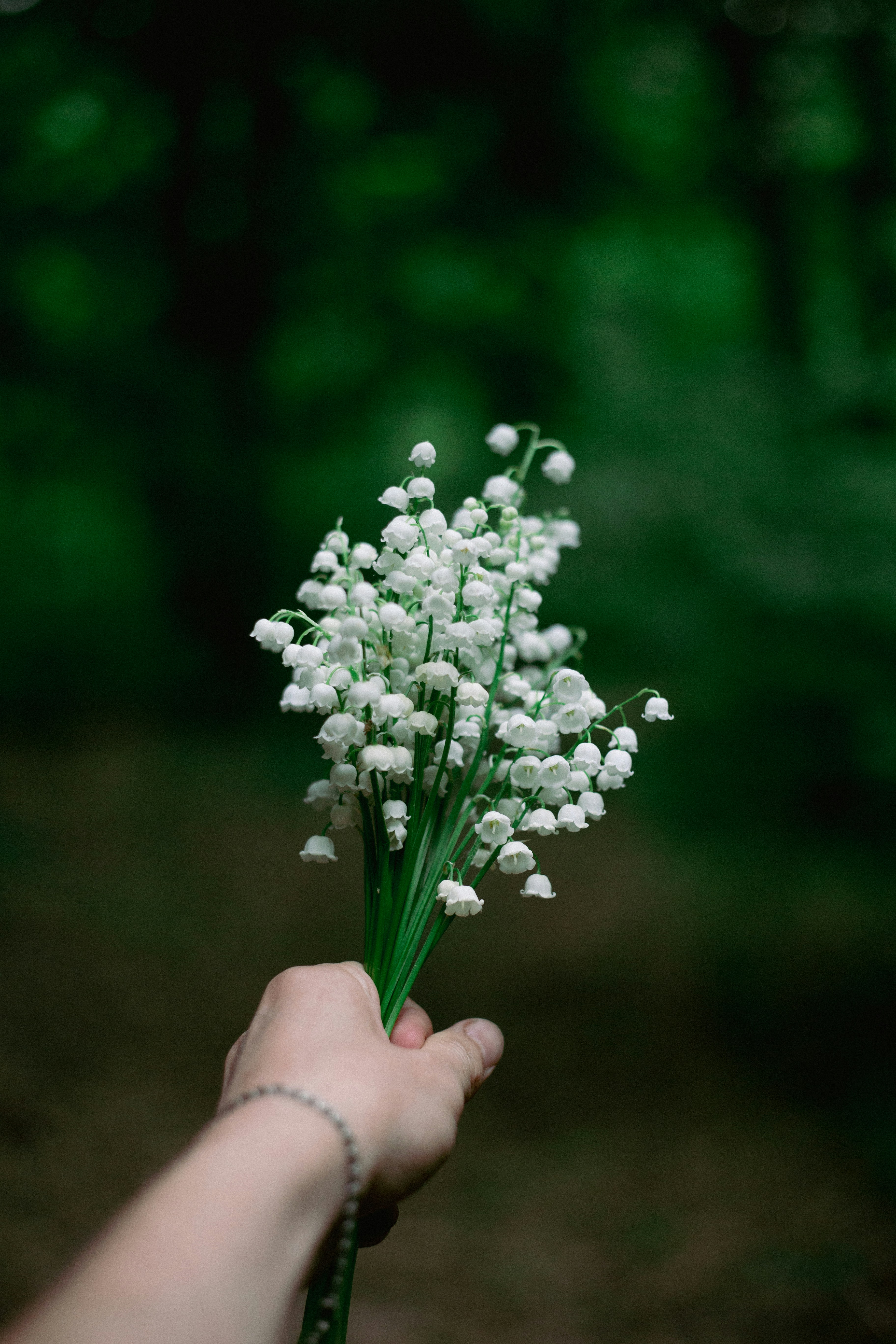 Bride of Lily of the Valley: Handed Bouquet in a Forest Glade
