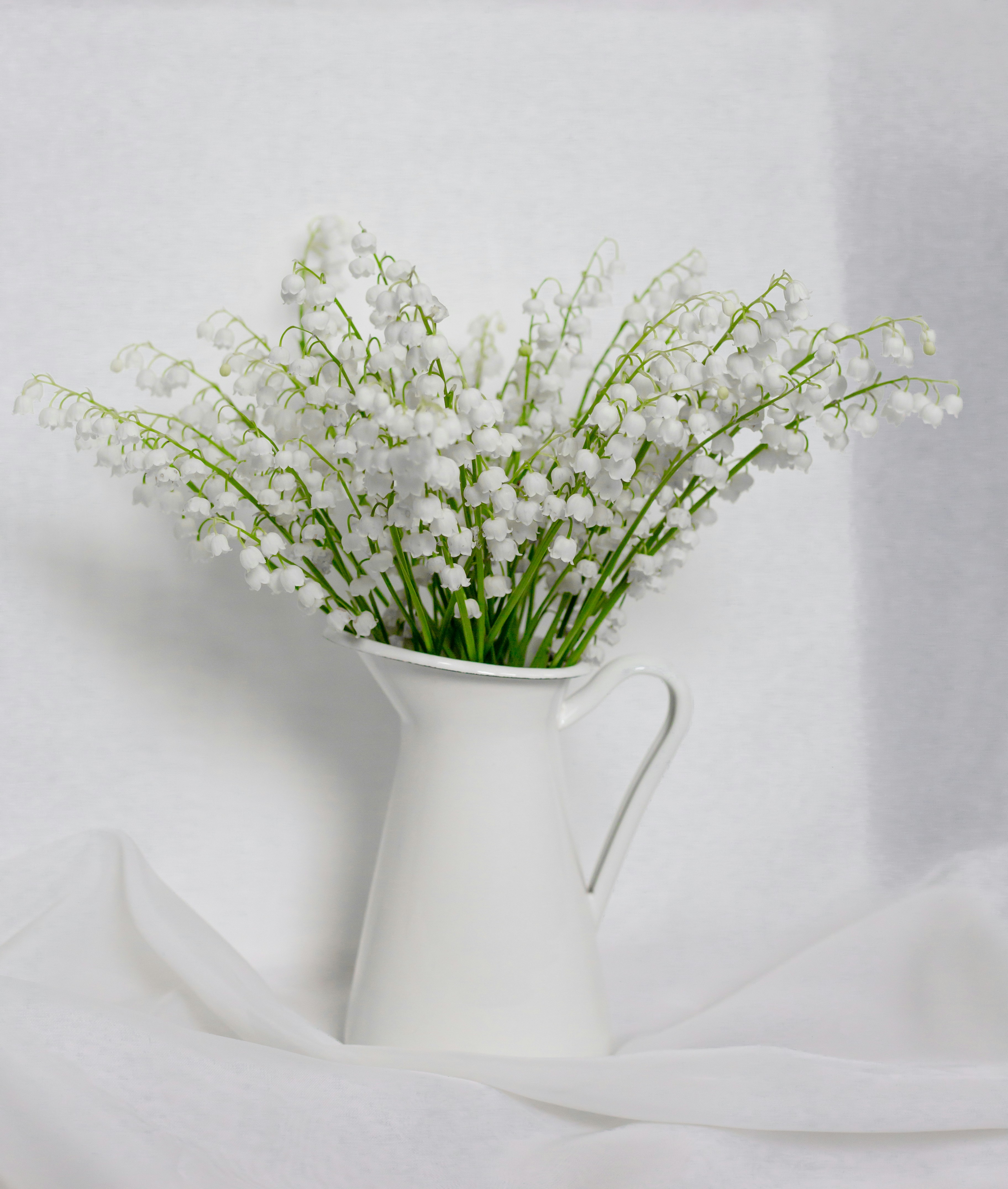 Minimalist Lily Bouquet in a White Pitcher