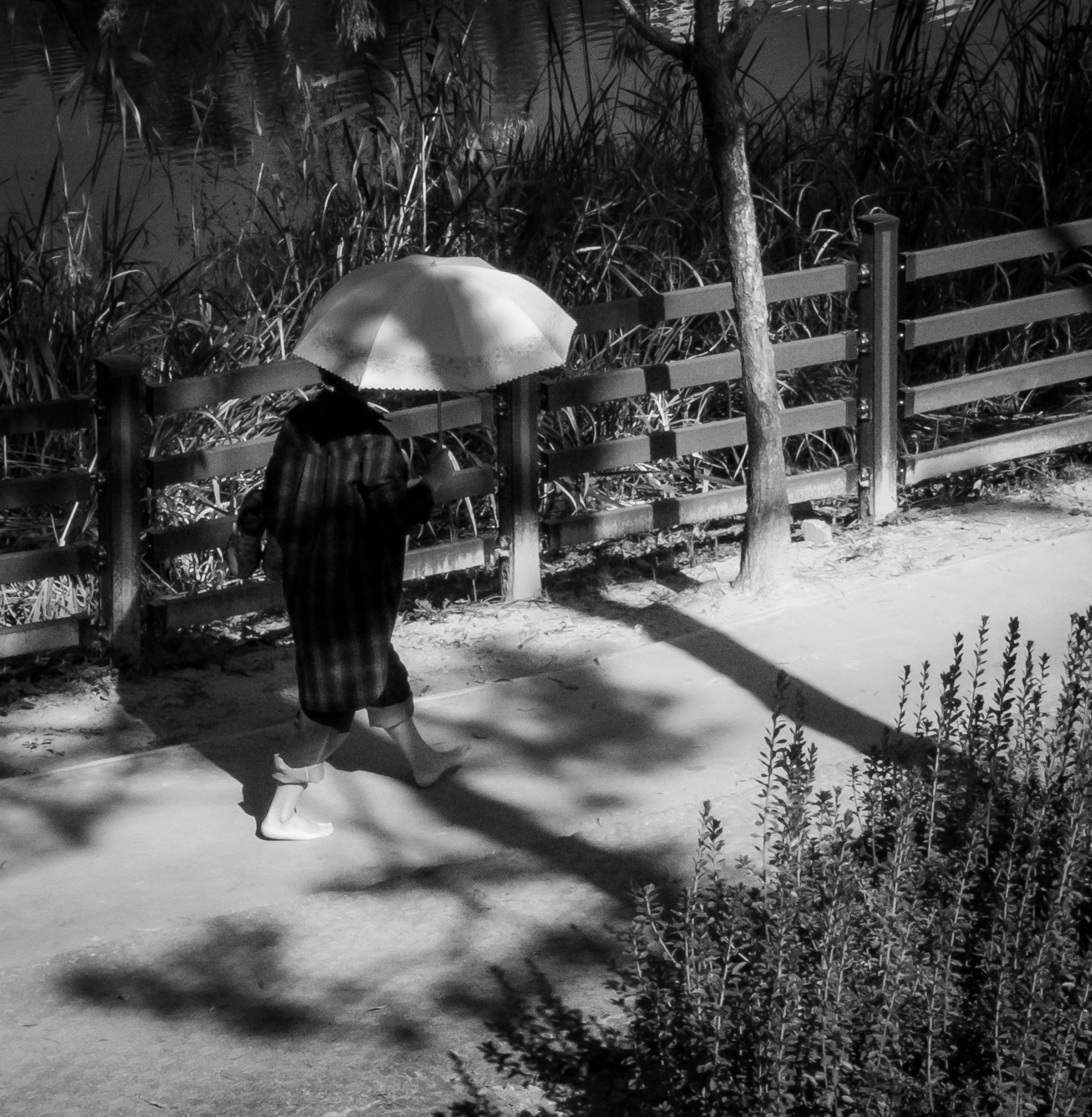 Woman with Umbrella By the Fence: Shadowed Path of Quiet Motion