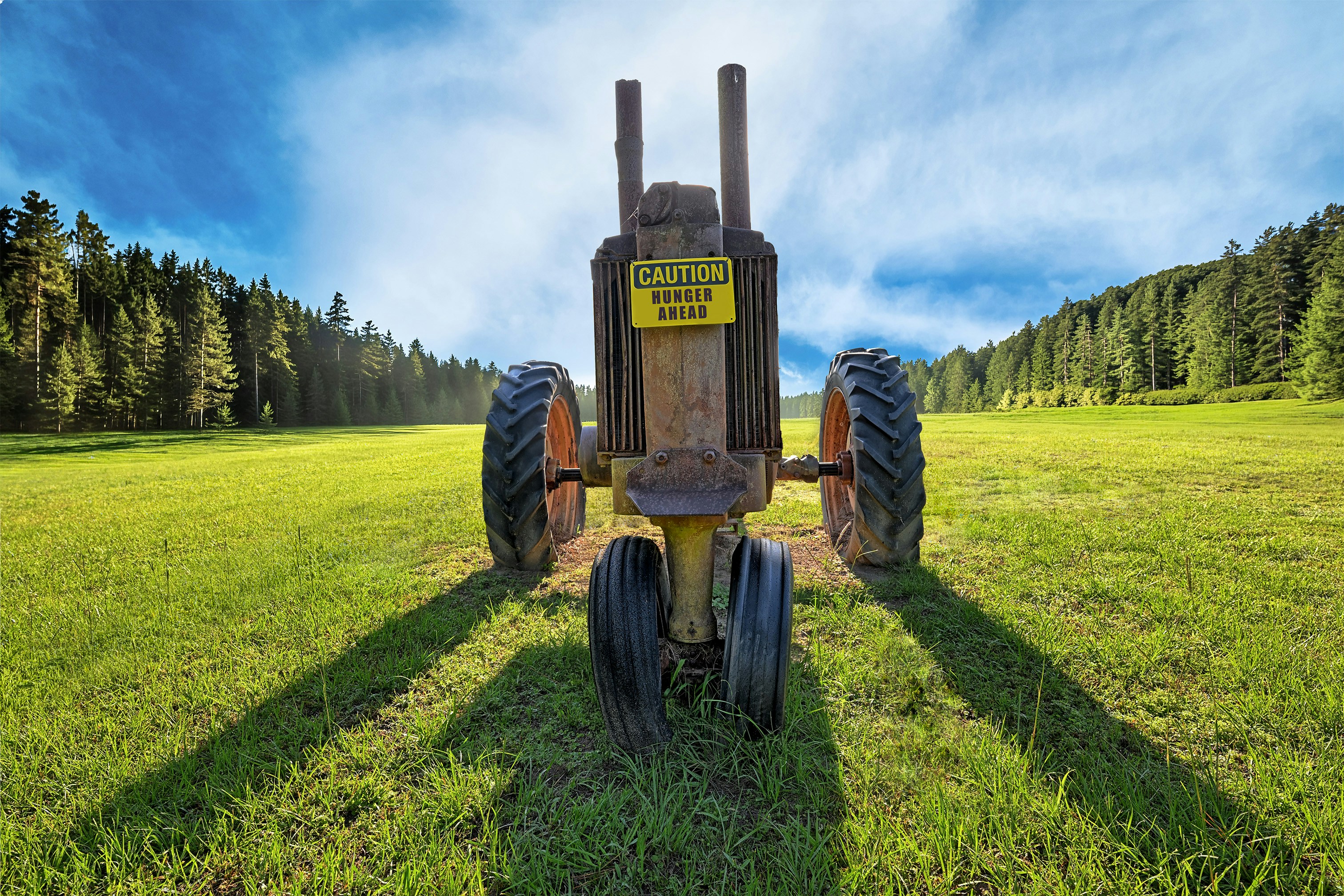 Front-Row Tractor in a Sunlit Meadow