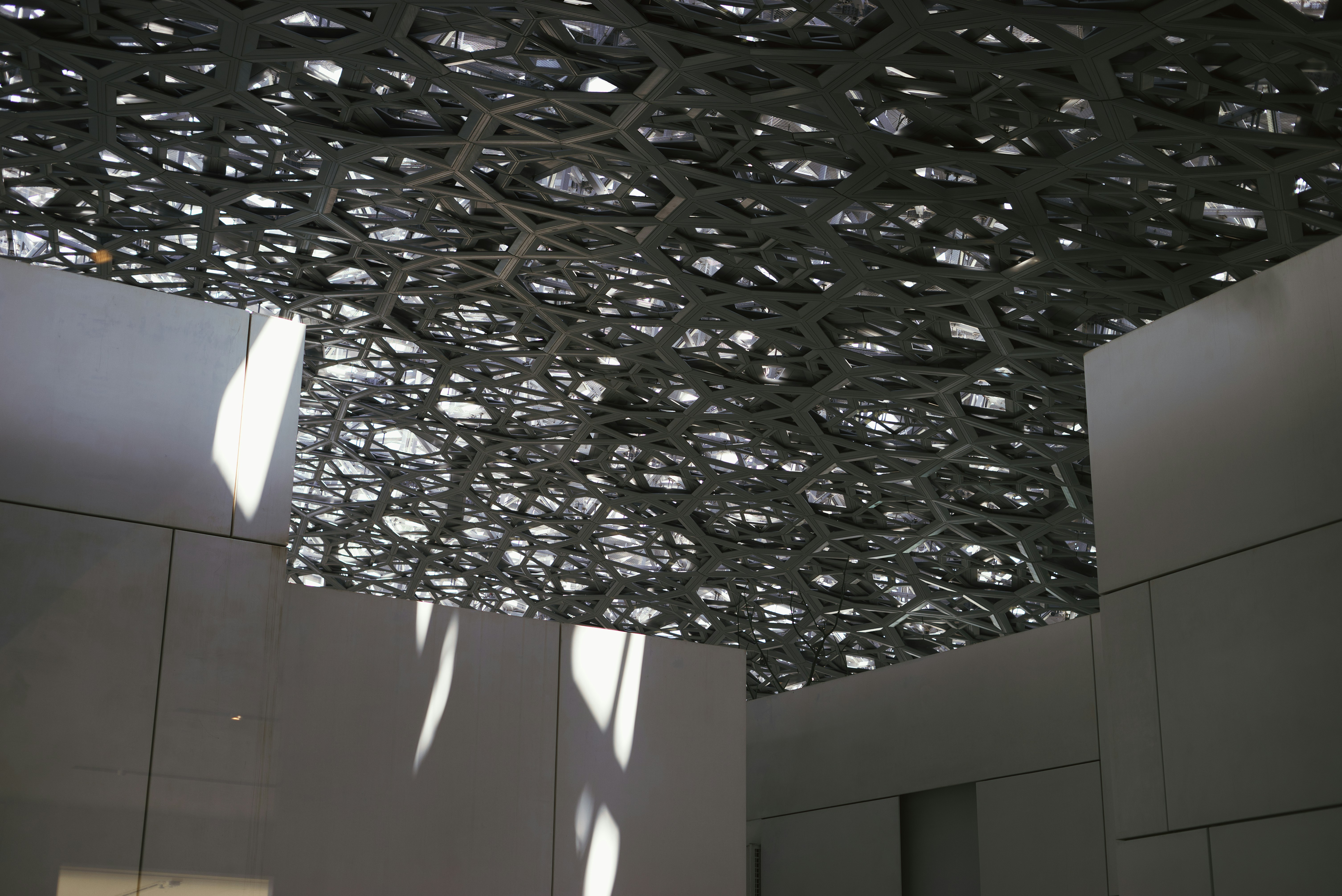 Canopy of Shadows: Interlaced Metal Lattices Over White Volumes