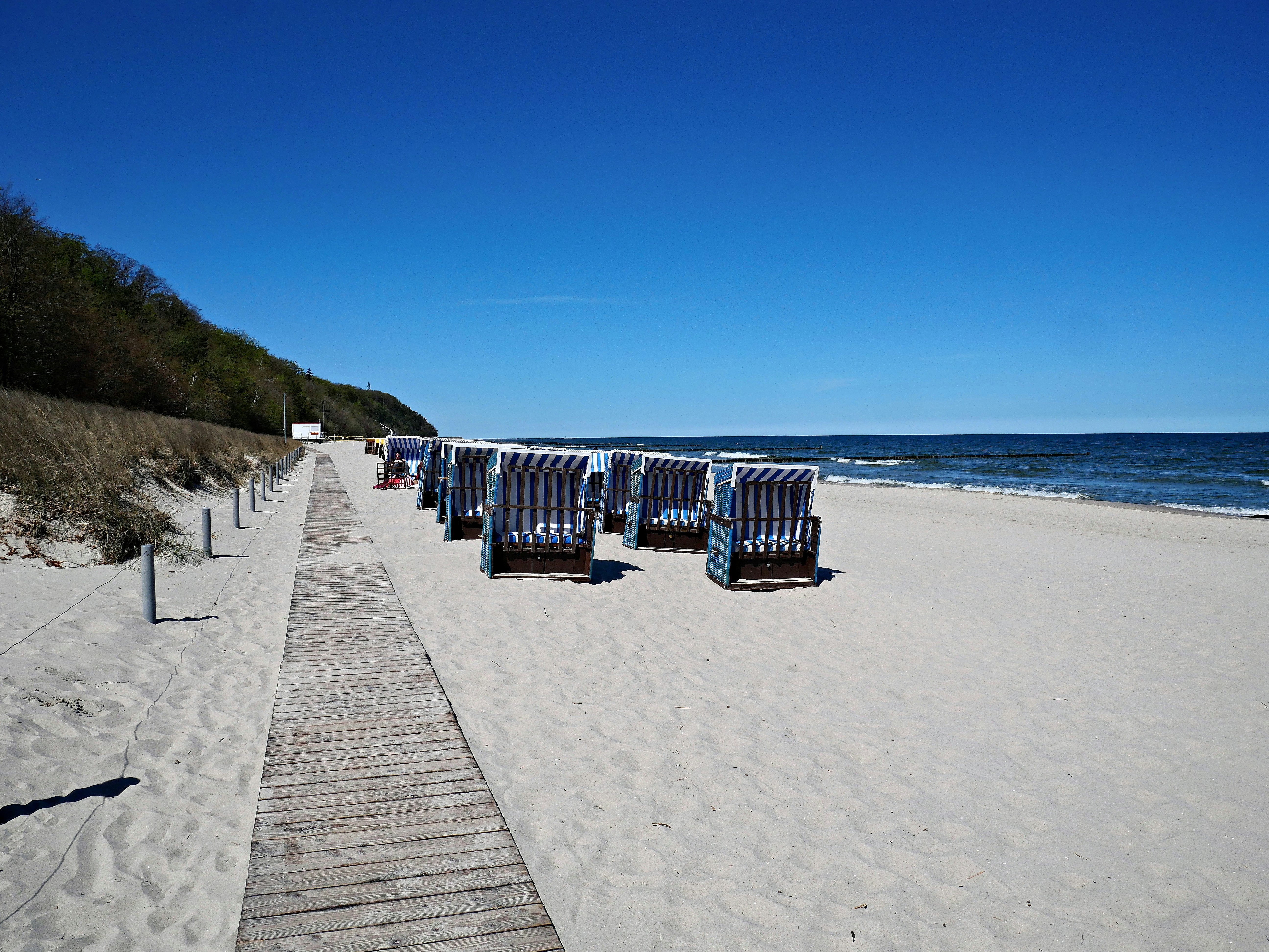 Row of Beach Chairs Aligns with the Quiet Horizon
