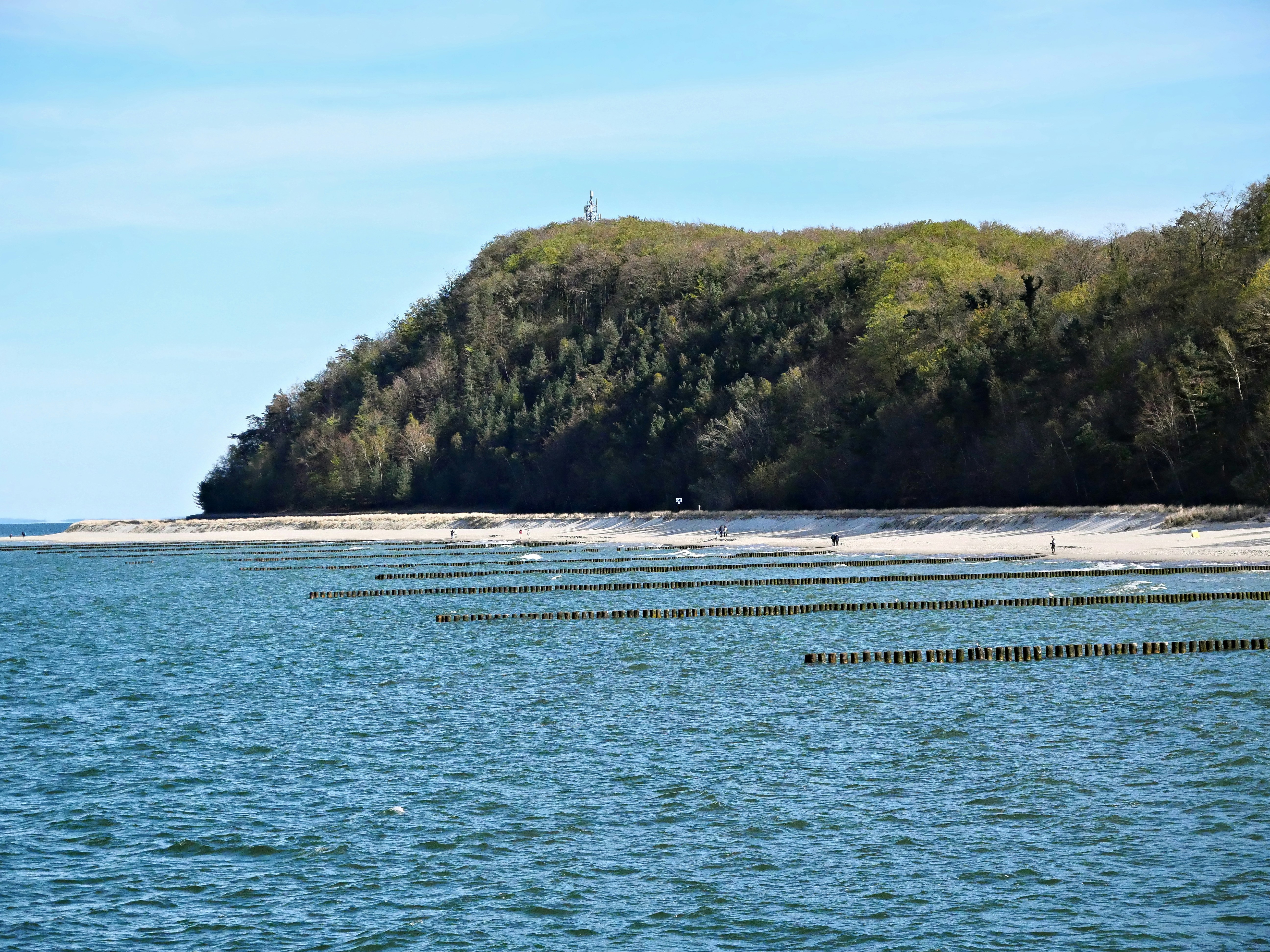 Coastal Cliff and Sea Laron: Lines of Dunes and Wooden Barriers
