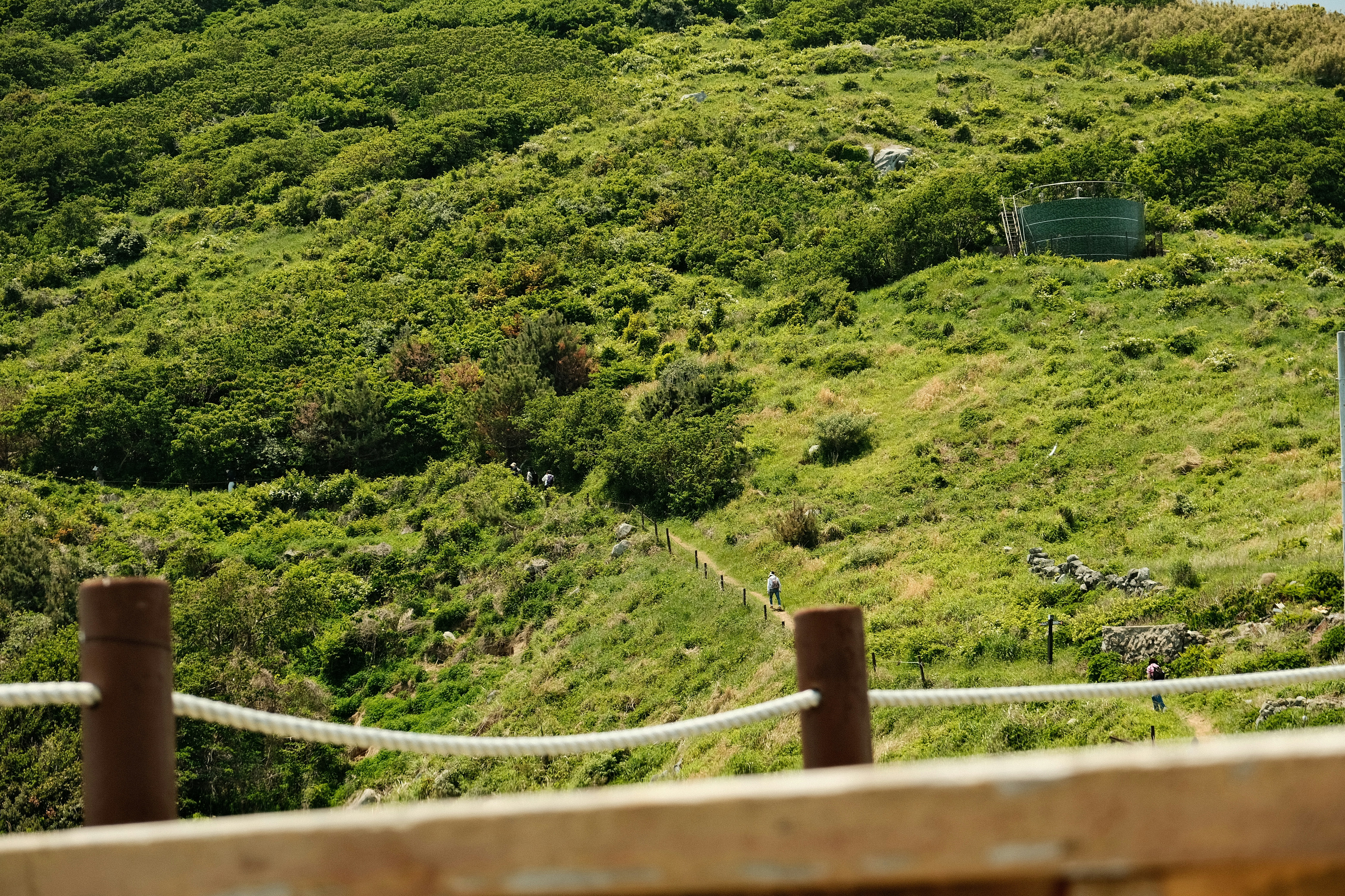 Green hillside with winding path and rope railing. photo – Free Travel ...