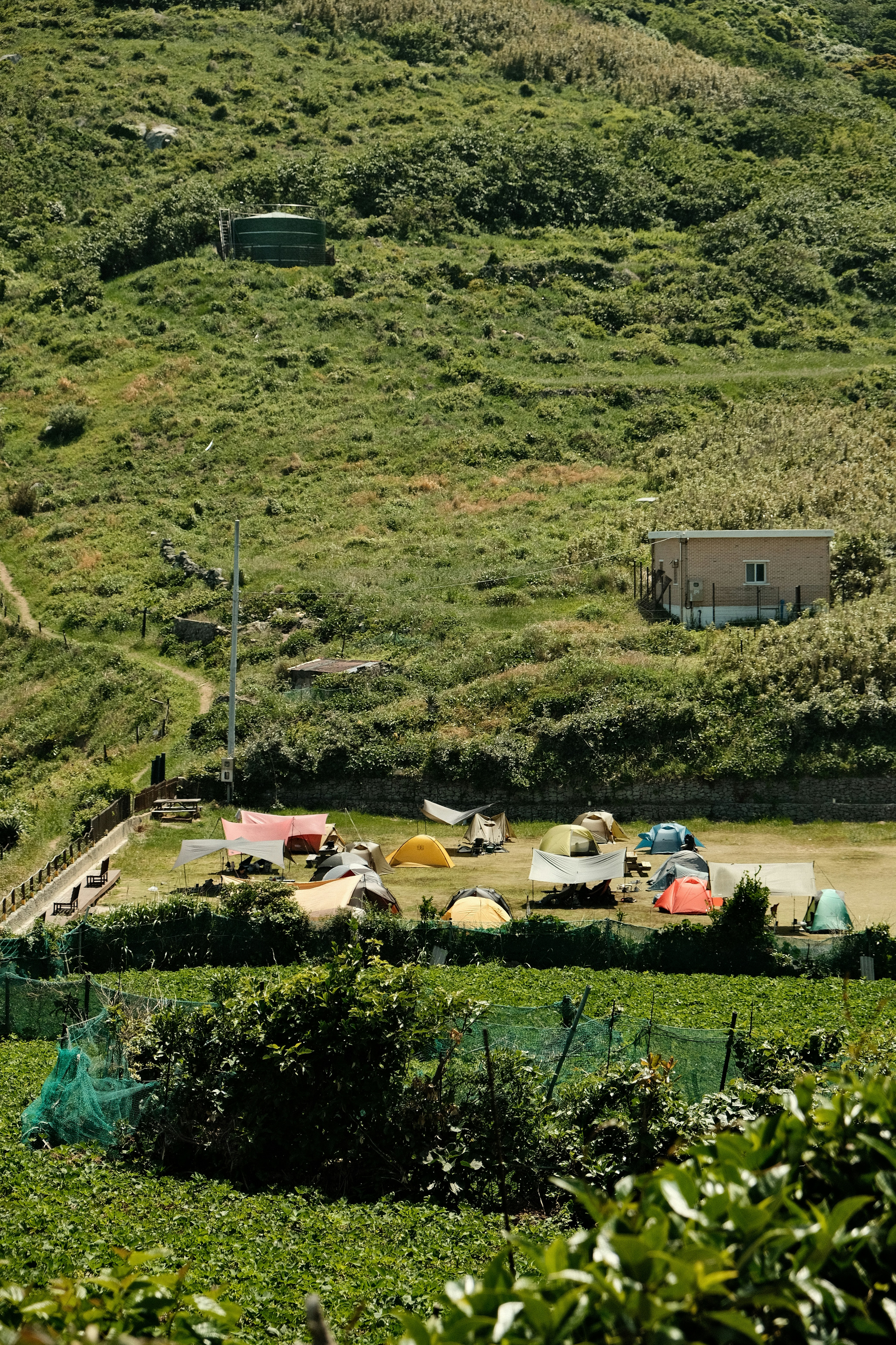 Campground Clusters Beneath a Quiet hillside