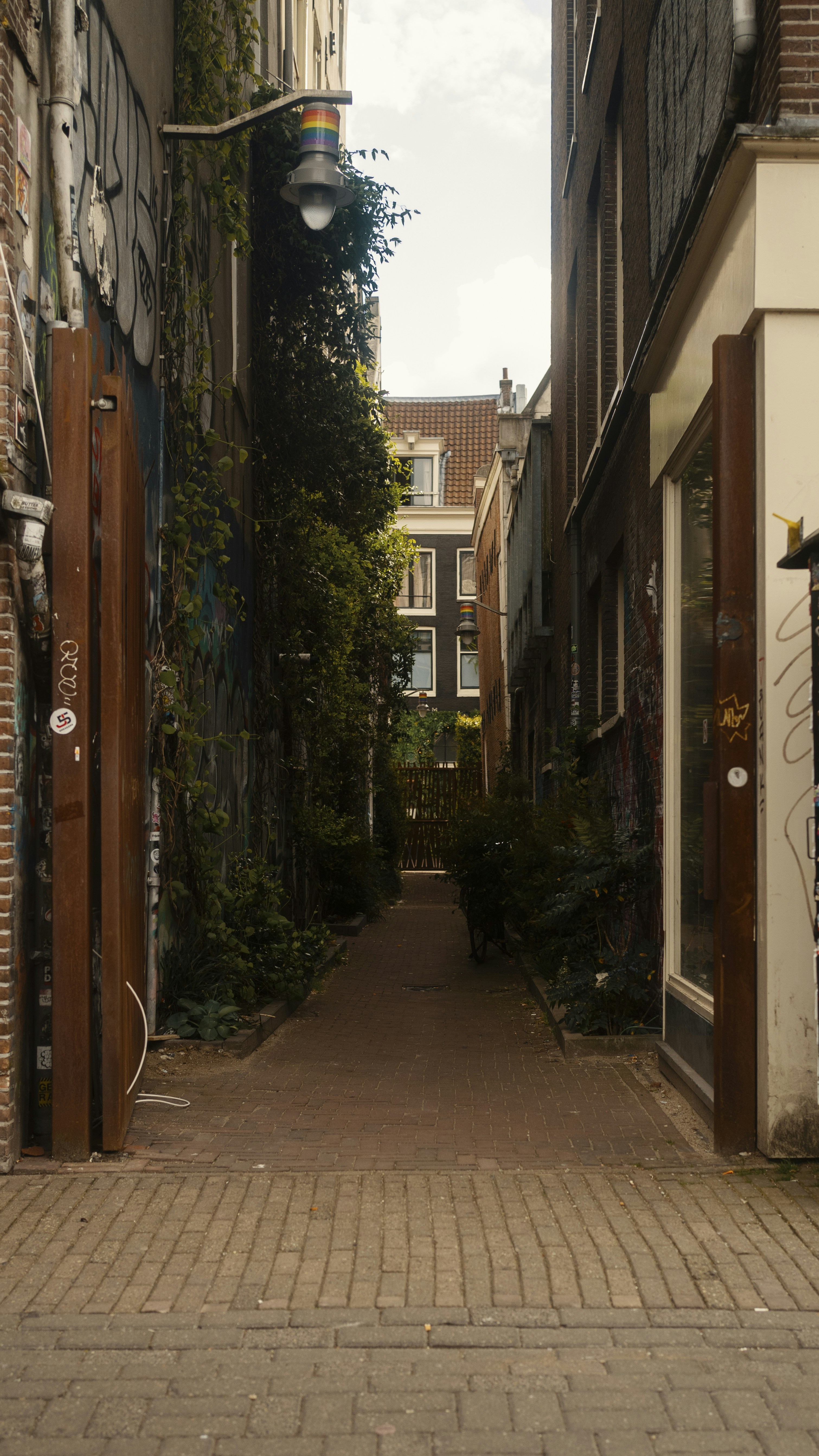Sunlit Alleyway Converges on a Quiet Garden