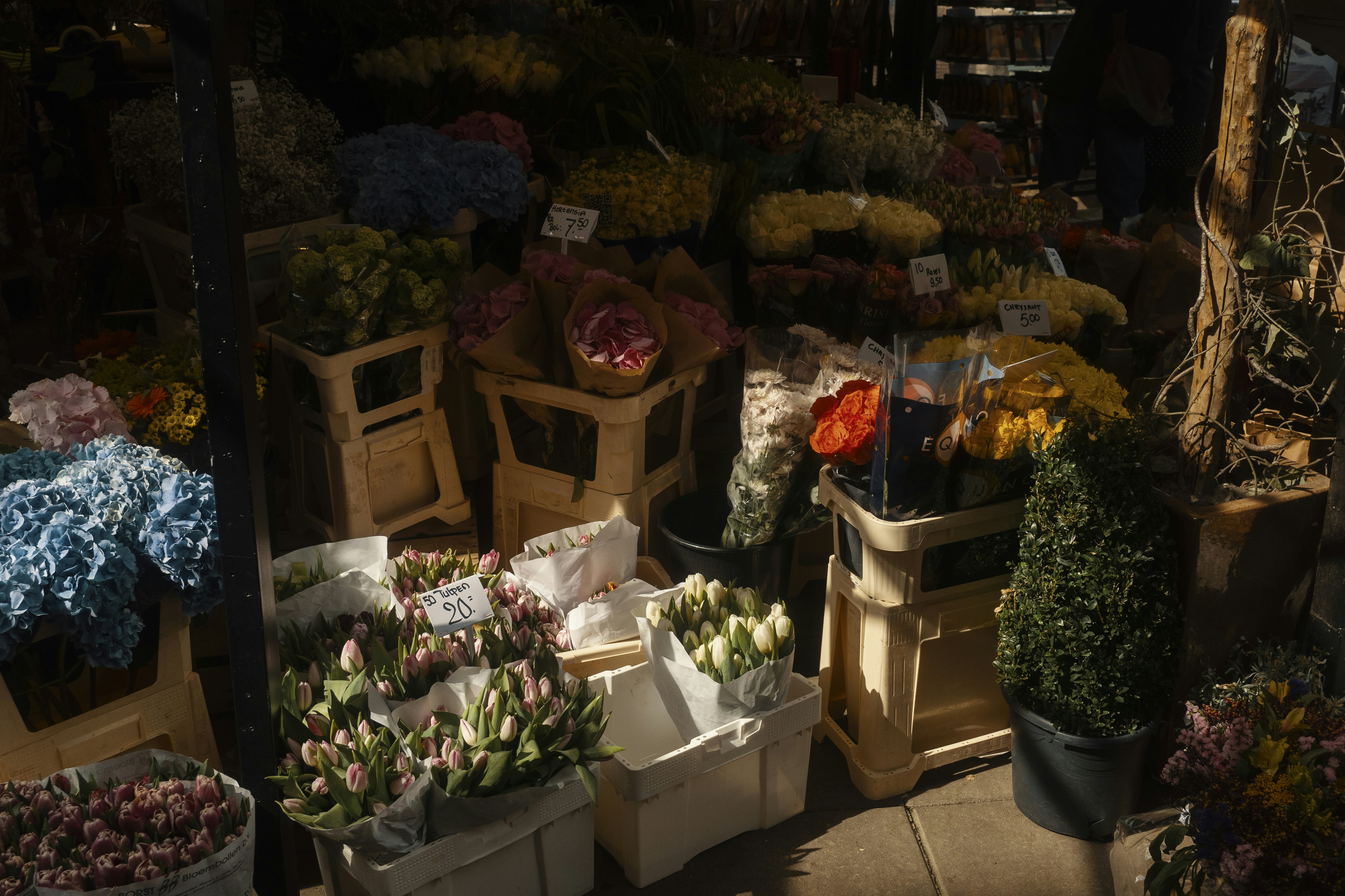 Sunlit Bunches: A Quiet Corner of the Flower Market