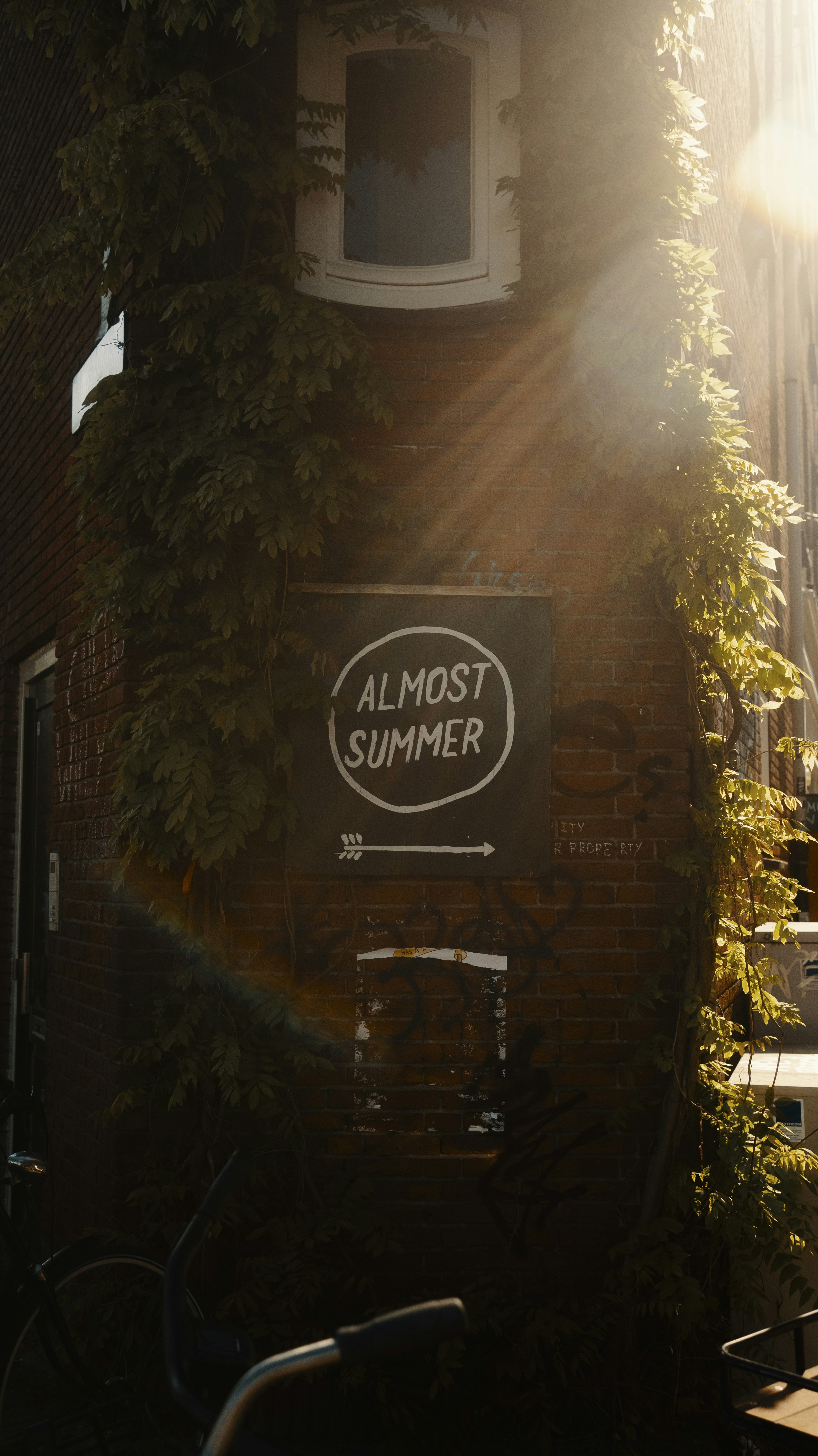 Sunflare over the ivy-clad brick doorway